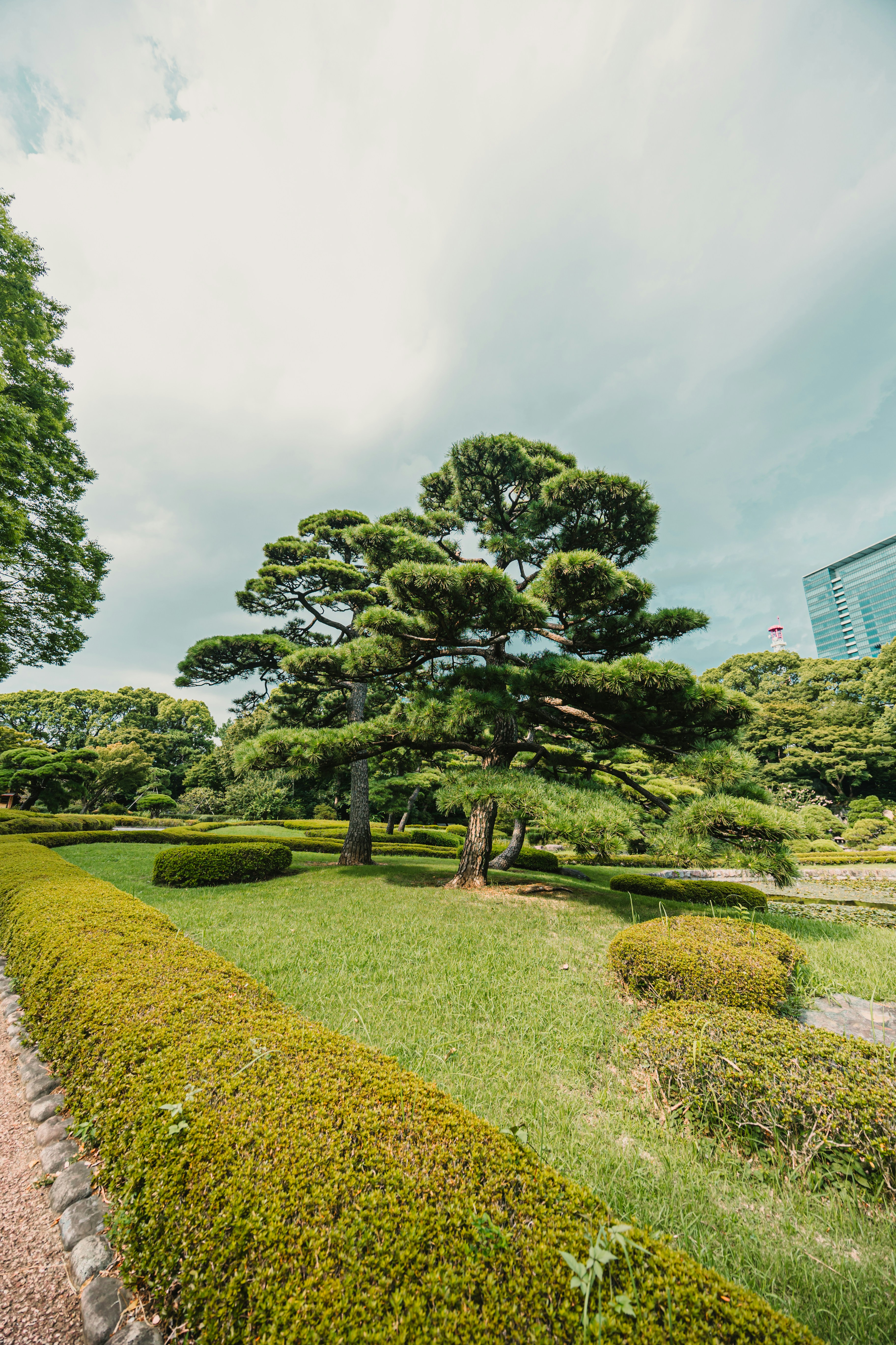 A meticulously manicured japanese garden with lush greenery.