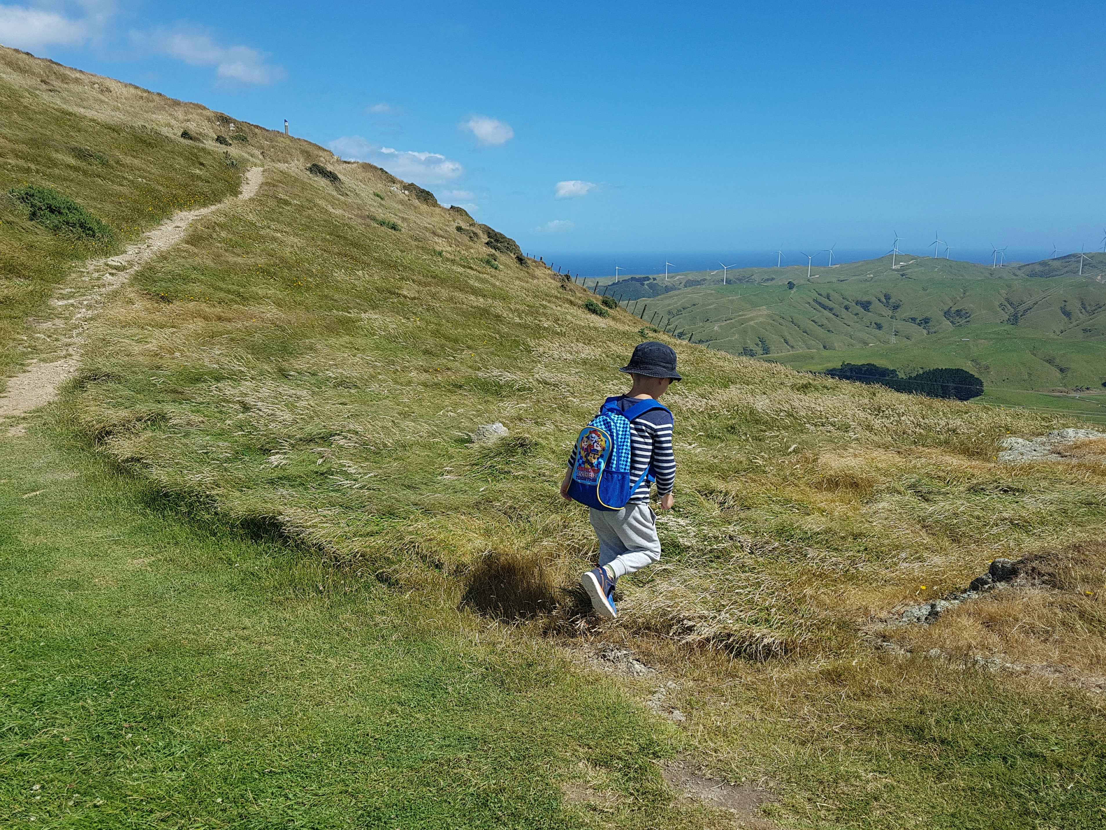 A small boy is walking over hills with a view over the Cook Strait in New Zealand | Boy with backpack walks on grassy hillside path