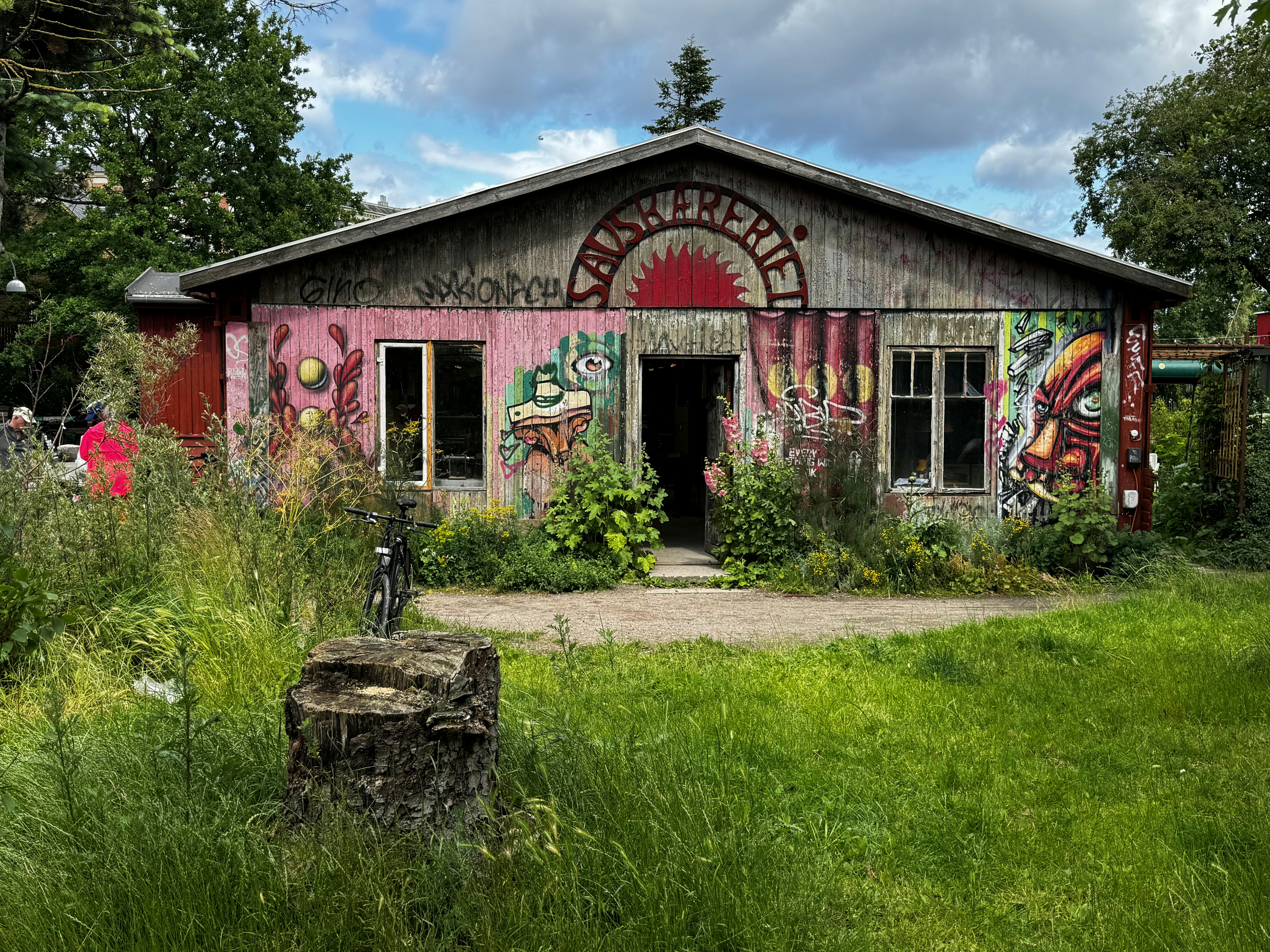 Debra Fisher (@crunch) | Komunitas Foto Unsplash