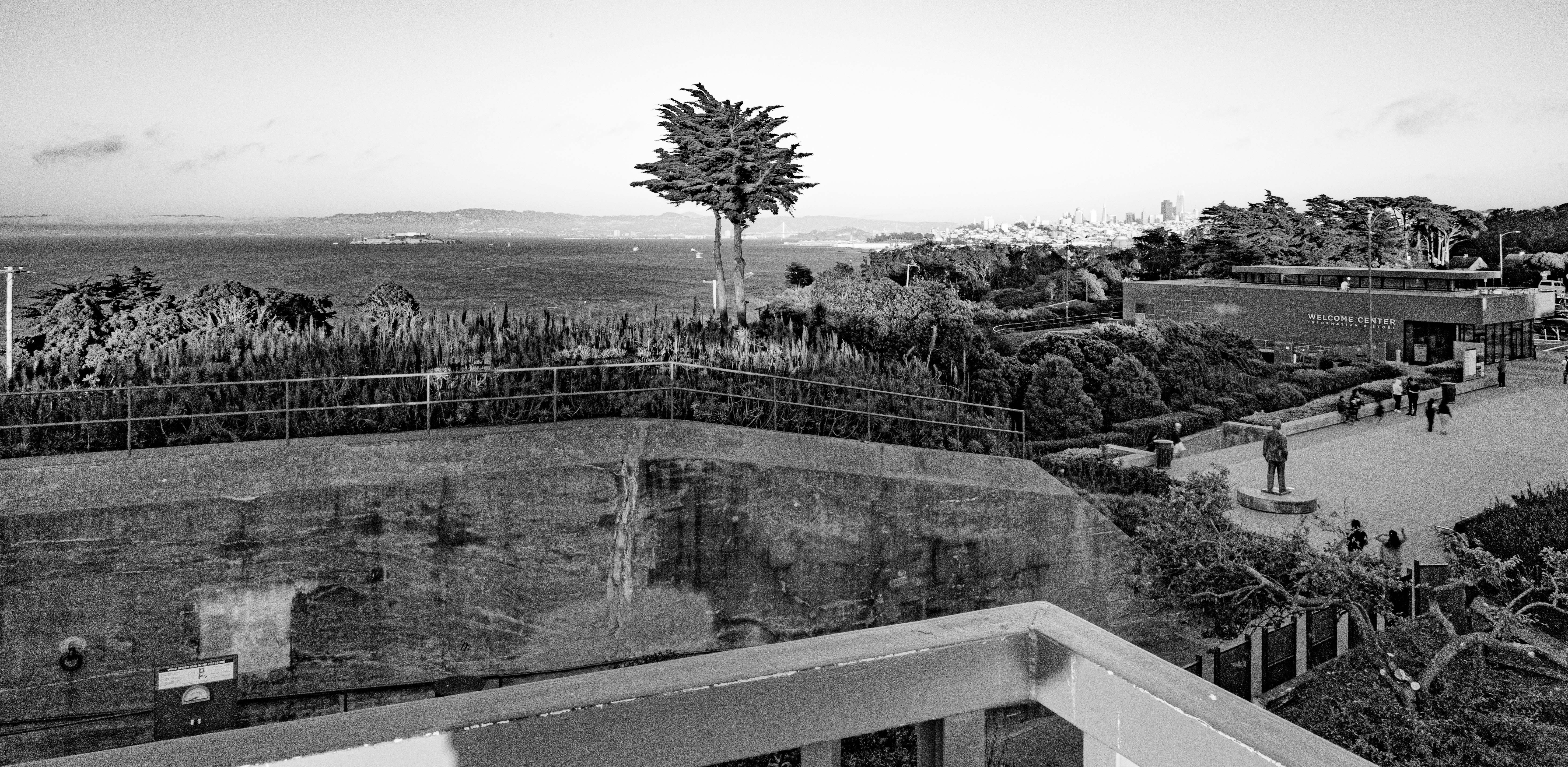 Whispers of the Bay: A Serene Overlook