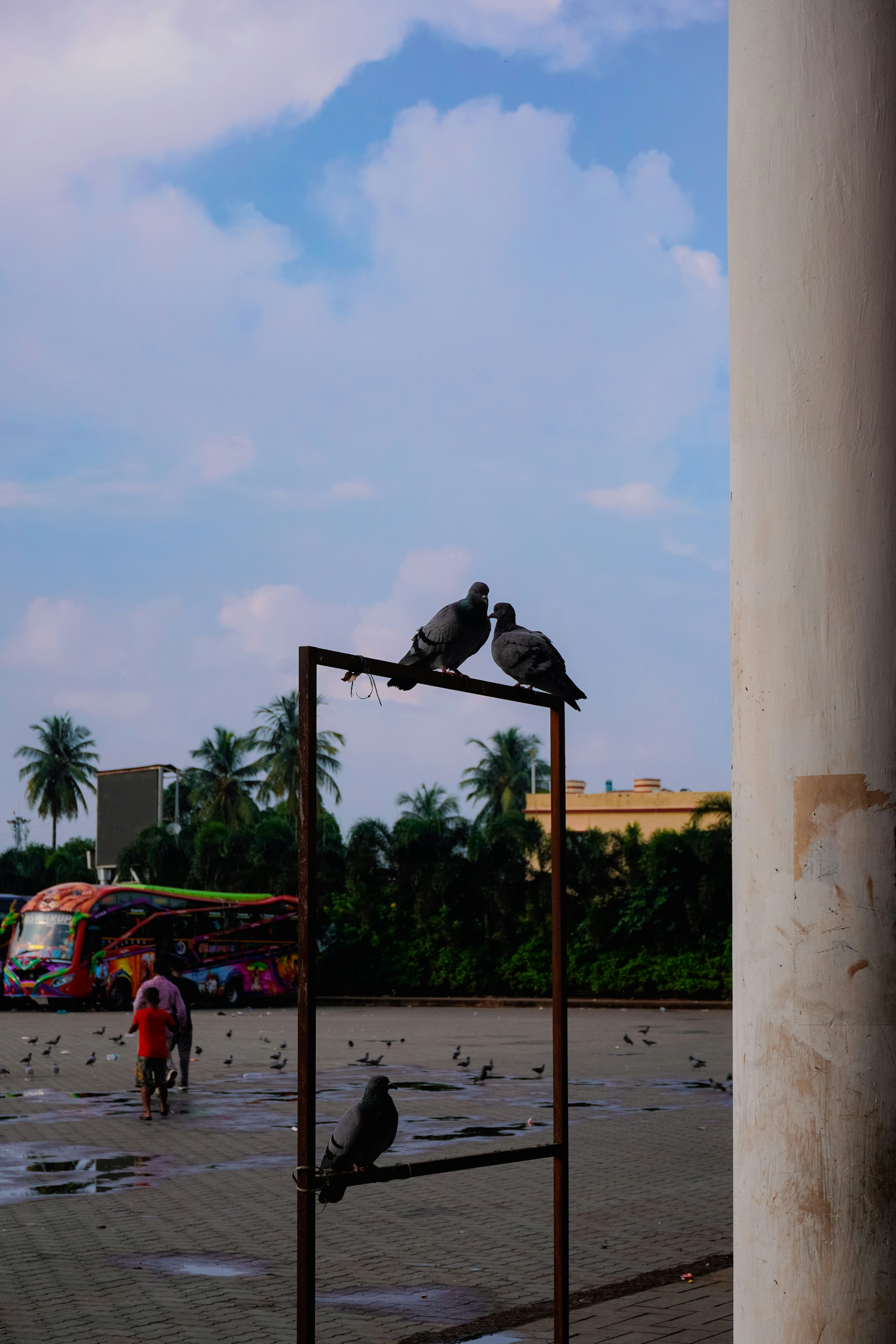 Two Pigeons Perched on a Rusted Frame in a Sunlit Plaza