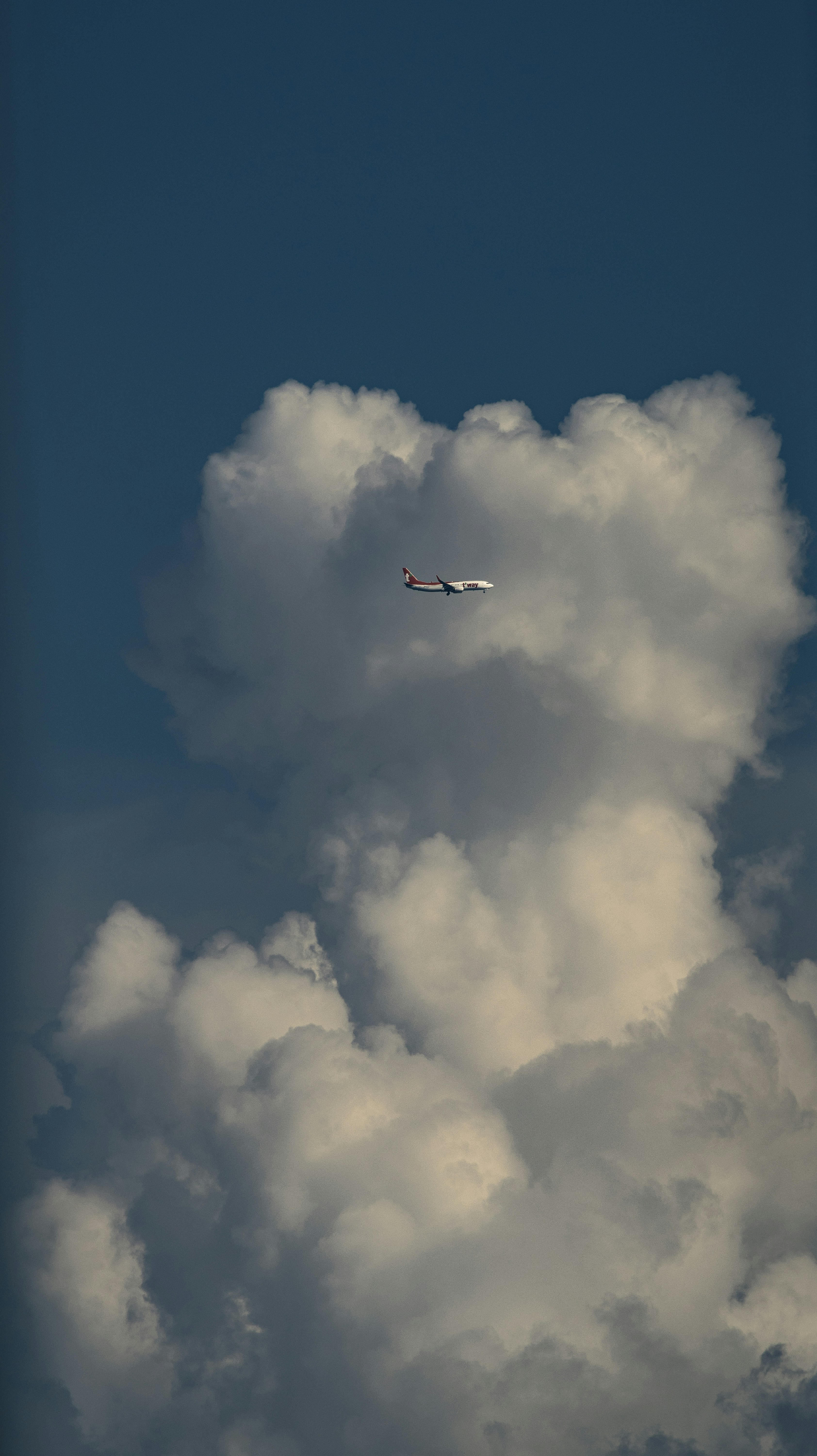 Alien eyes (@alien_film) | Unsplash 사진 커뮤니티