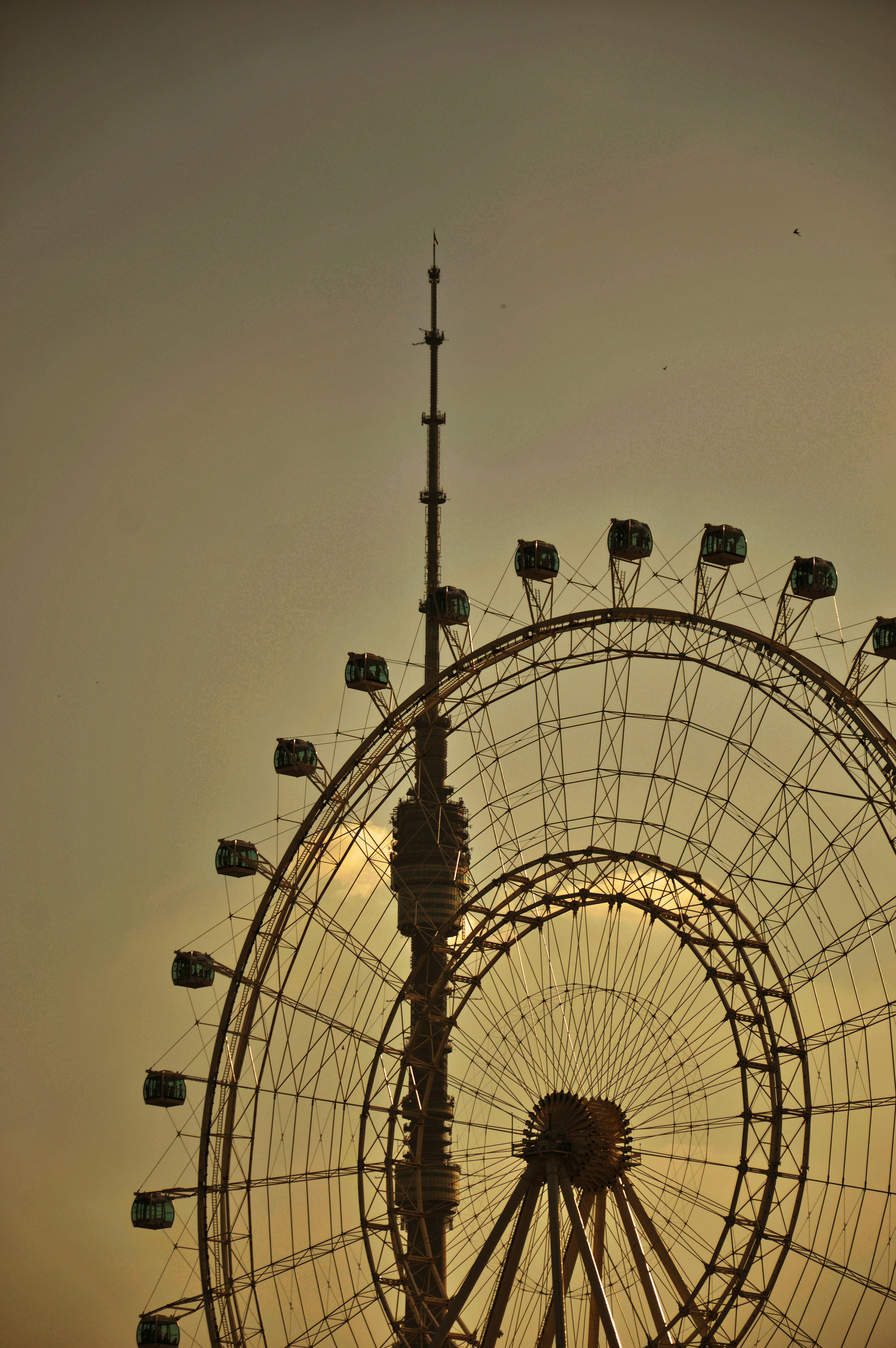 The Skyline's Circular Embrace