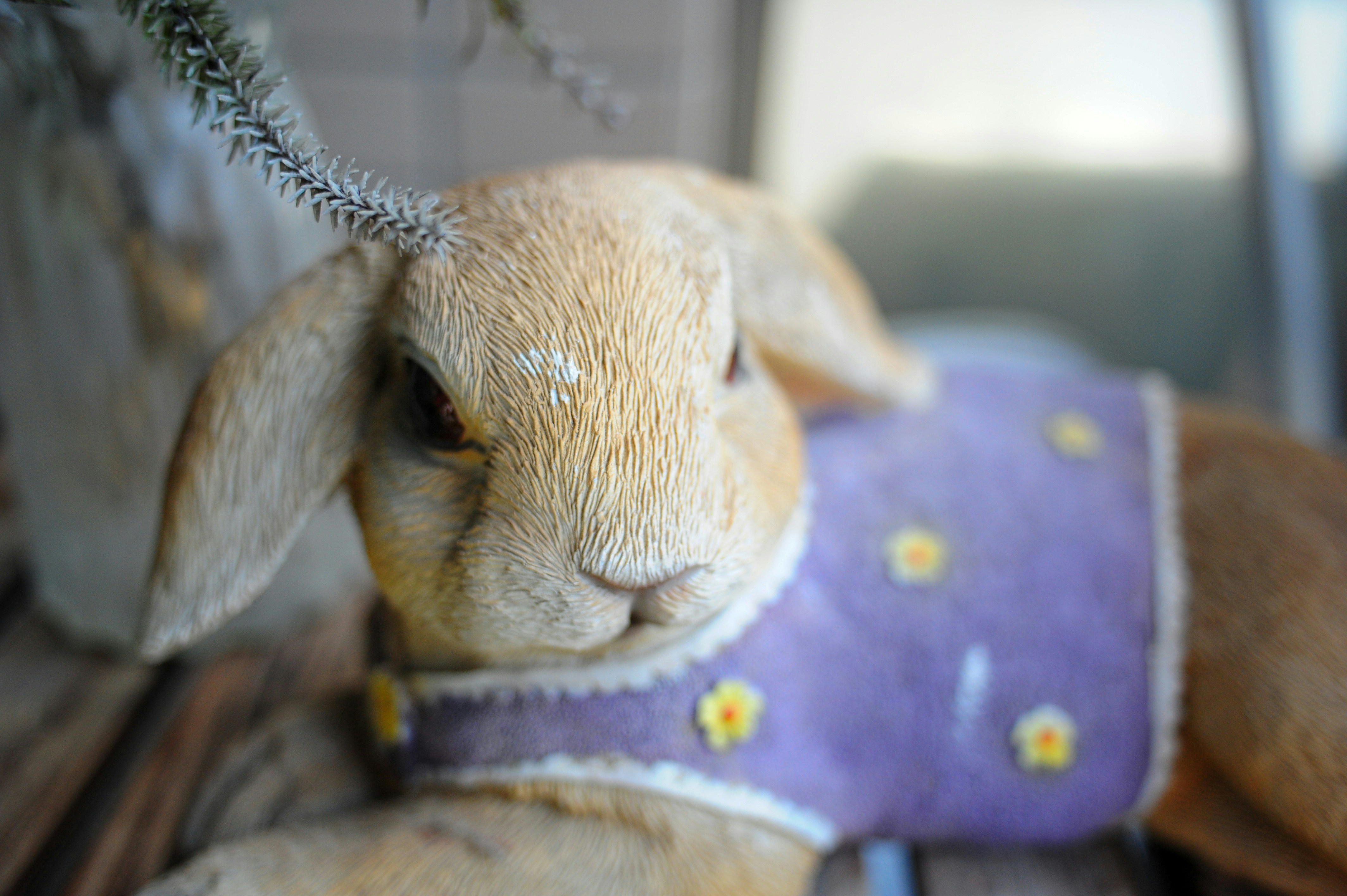 Whimsical Serenity: The Charming Bunny