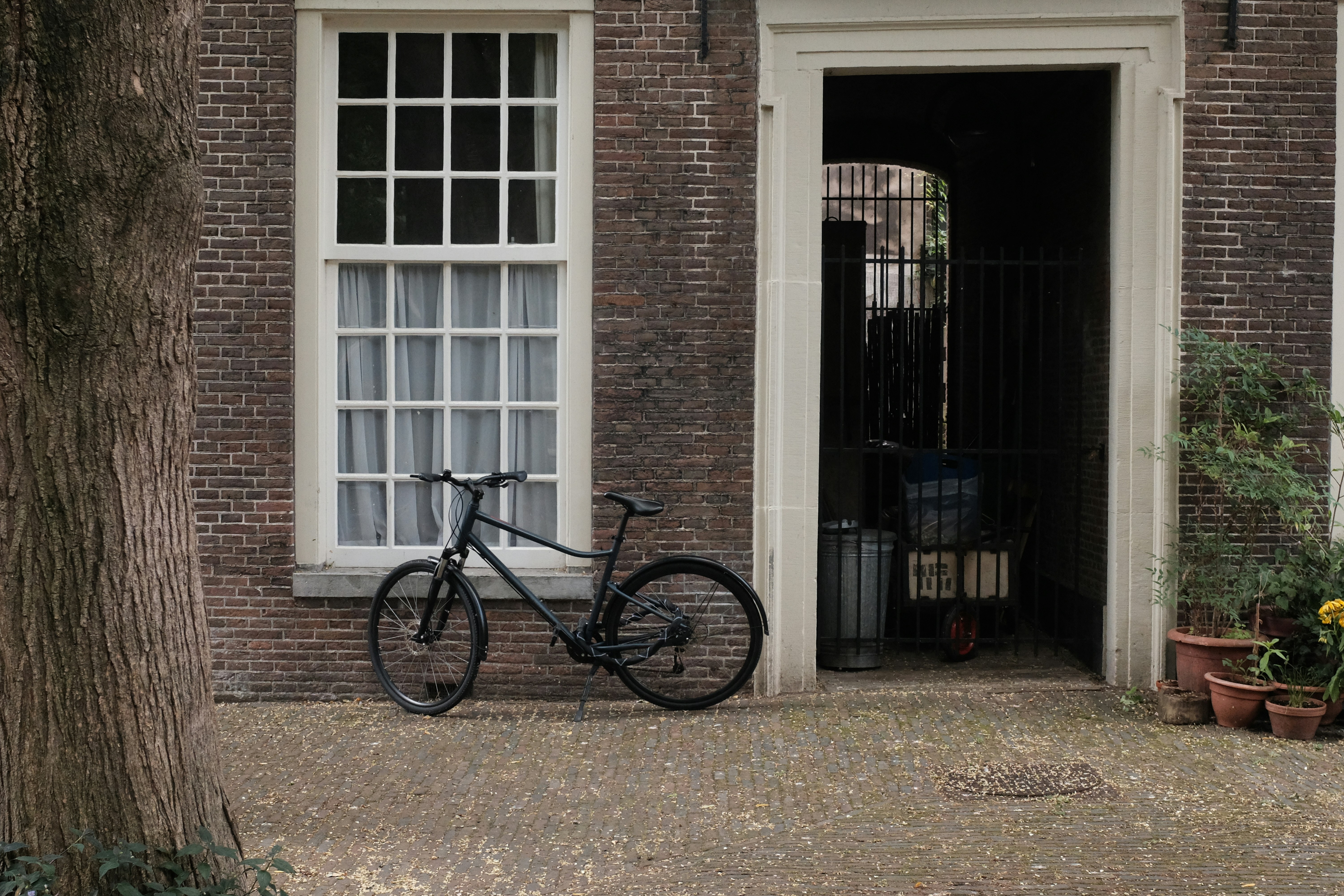 Urban Solitude: A Bike's Quiet Respite