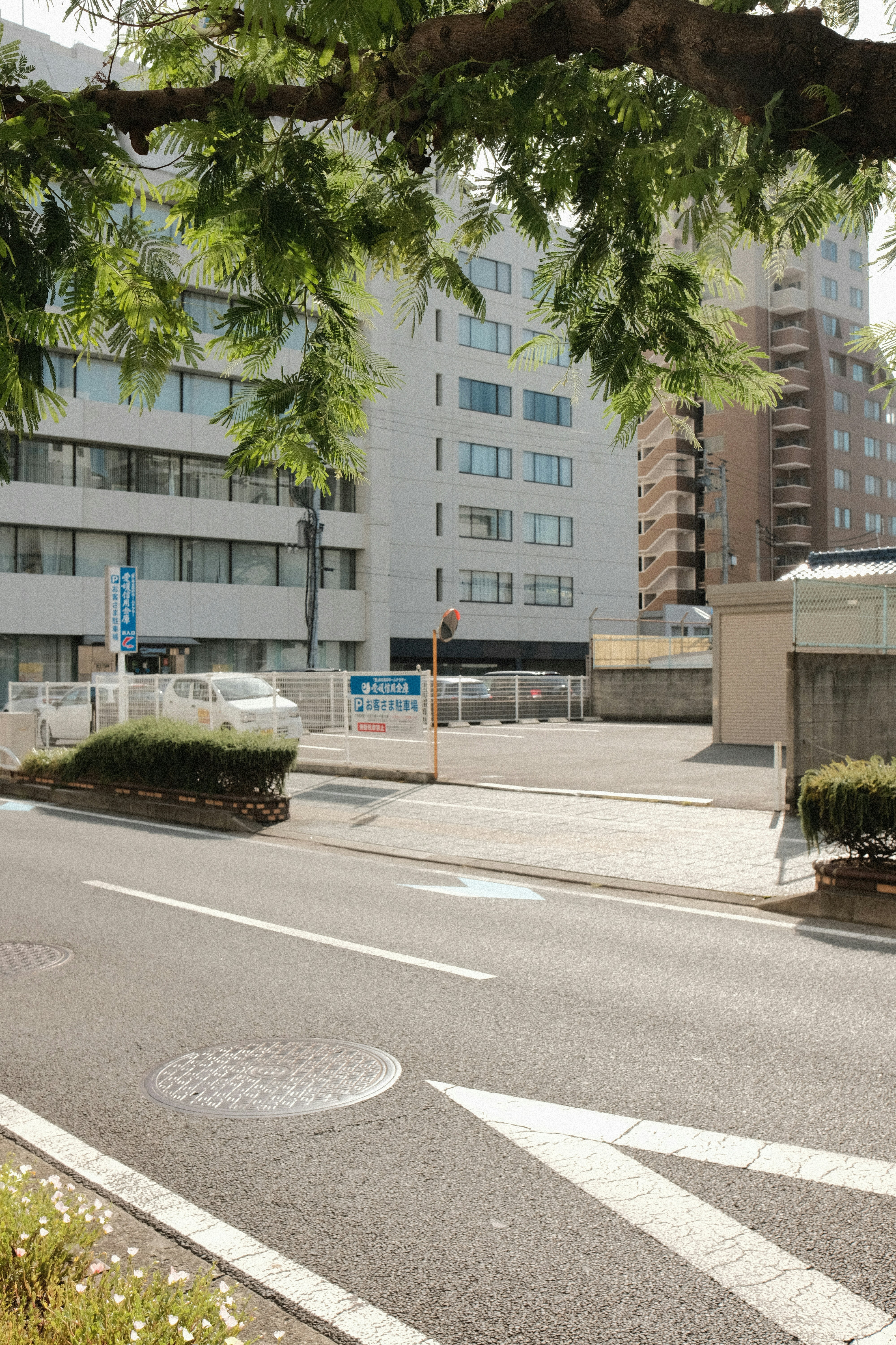 Street view with buildings and trees in foreground.