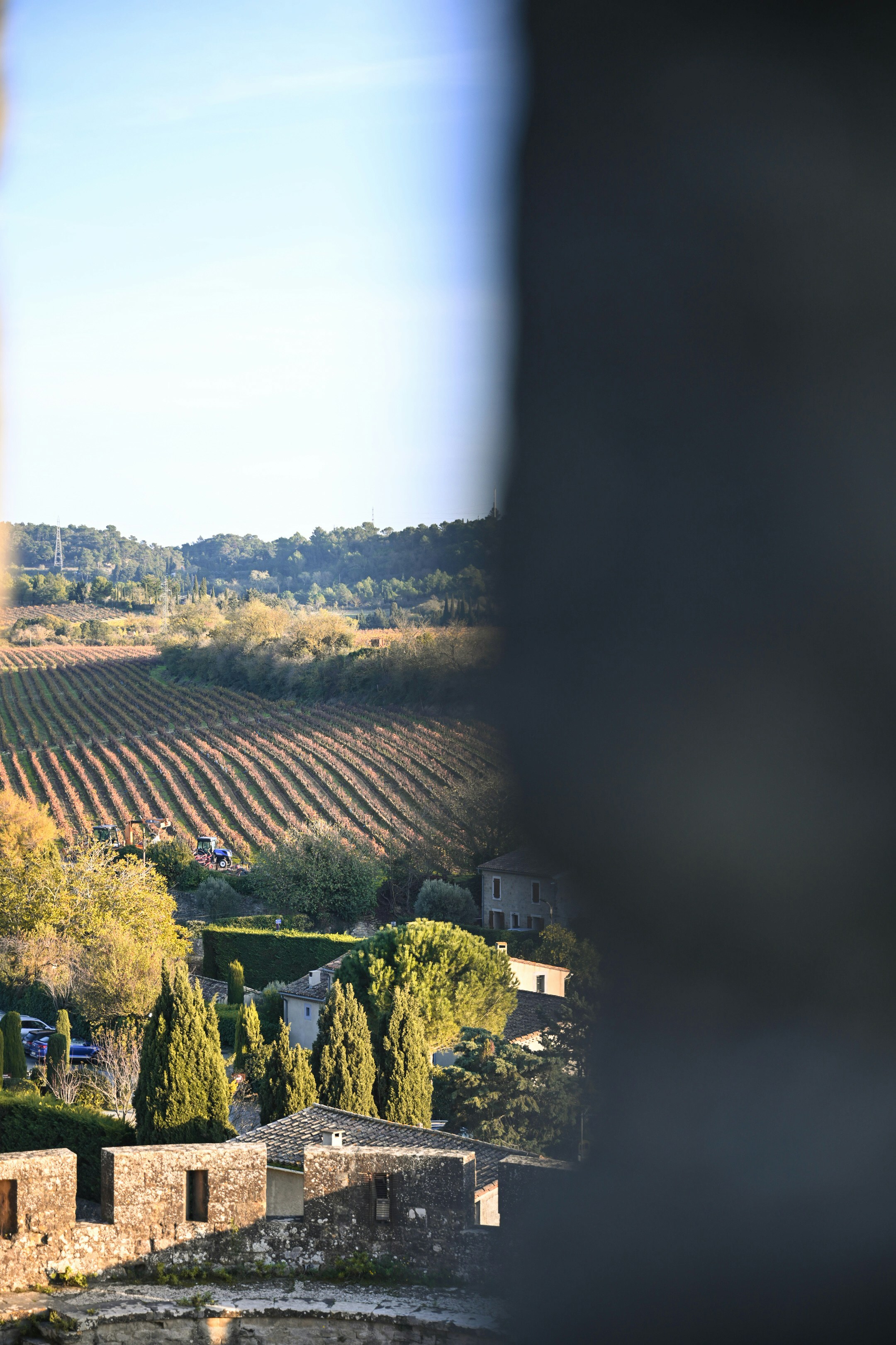 Vineyard landscape with stone buildings and trees