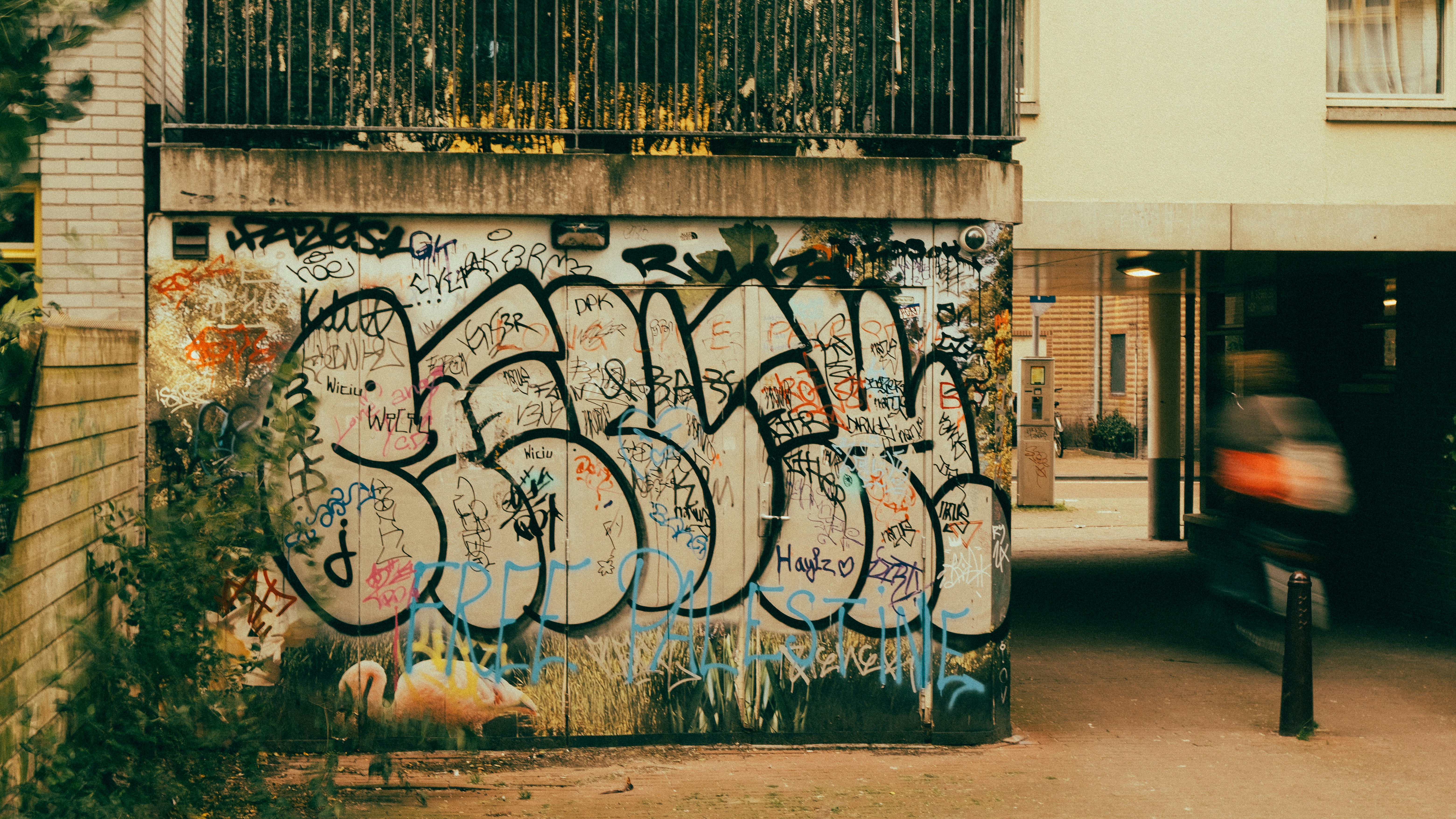 Urban Canvas: The Story Behind the Graffiti