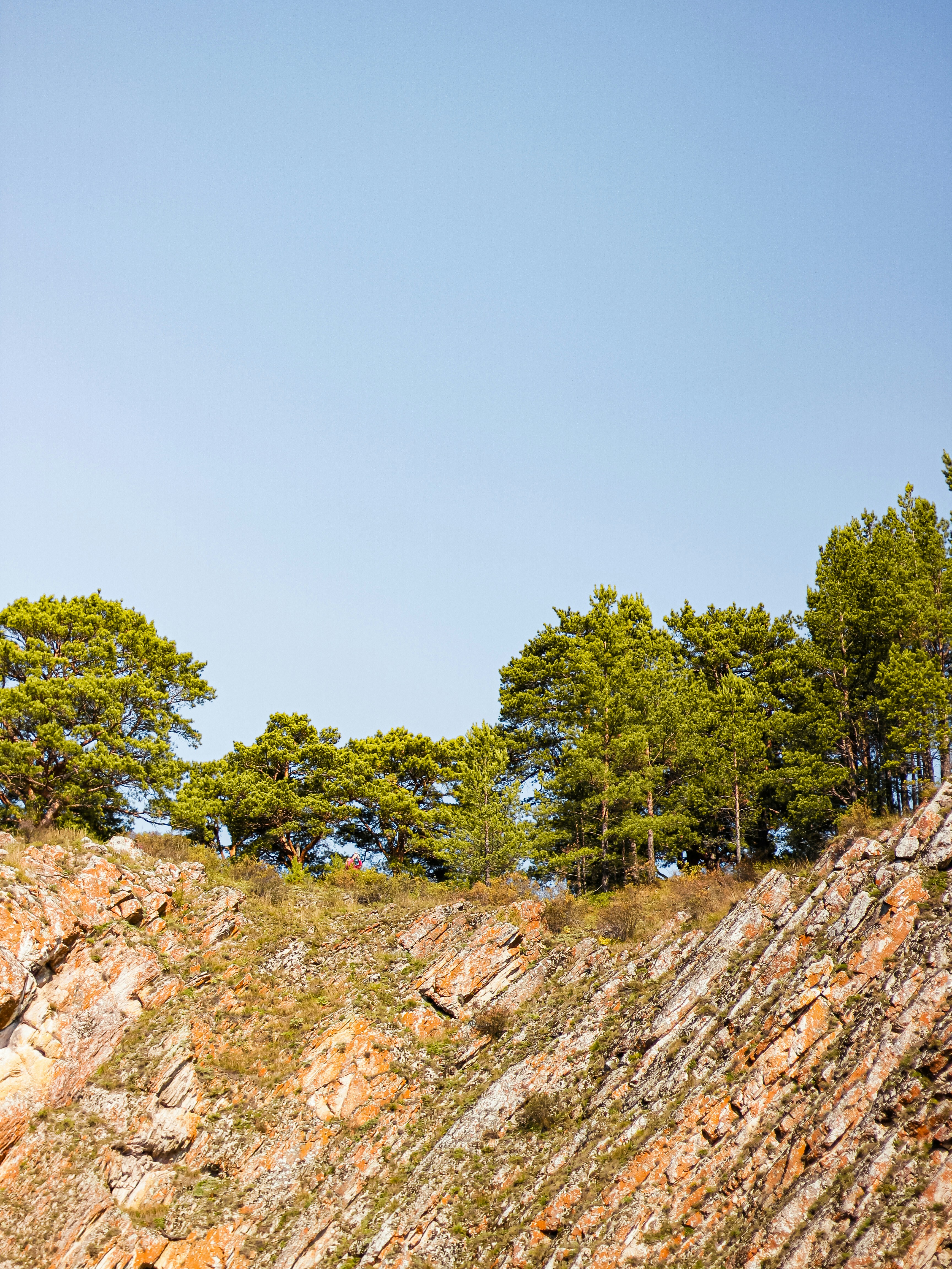 Мантуров камень - это невероятен. | Pine trees on a rocky cliff under a clear sky.