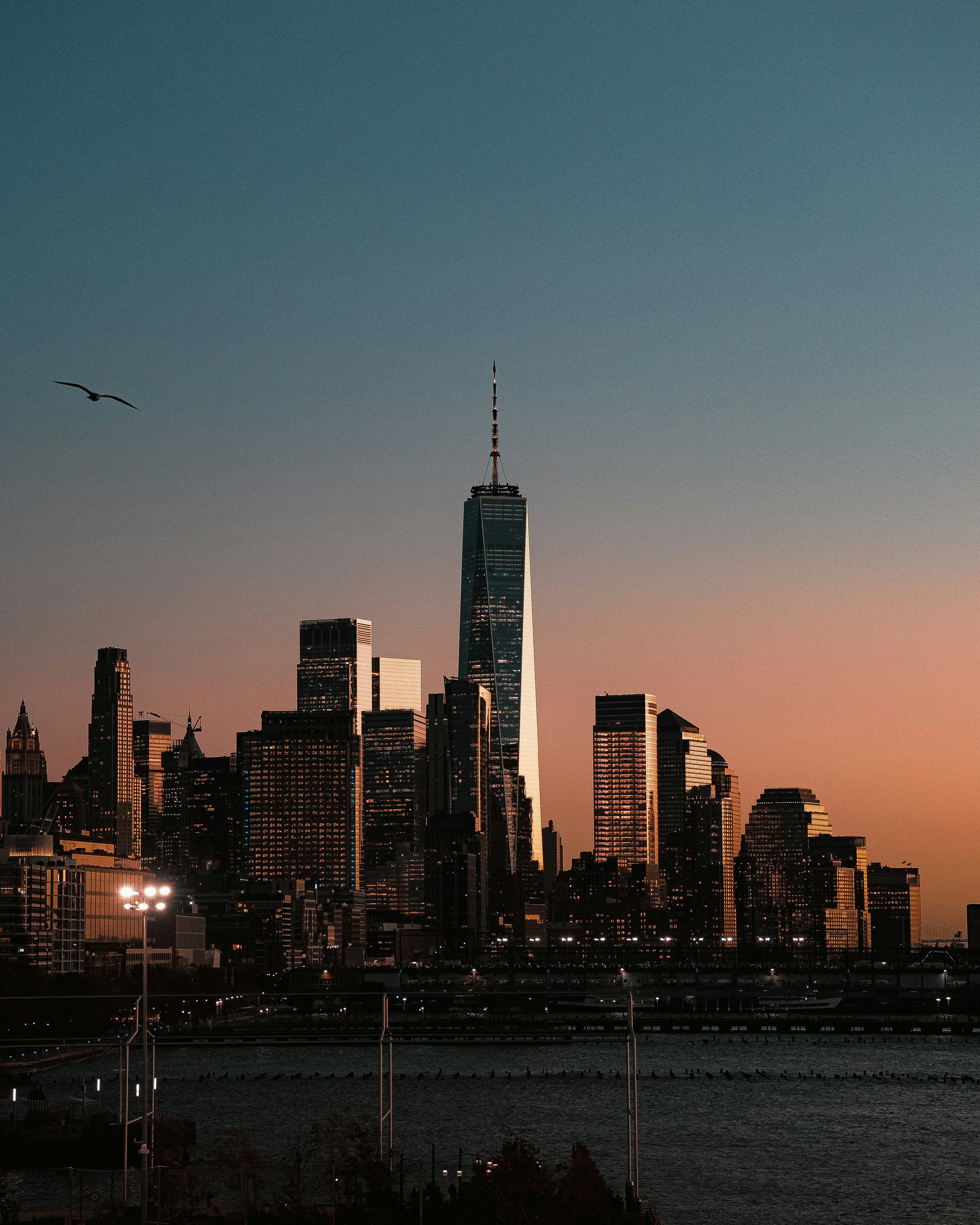 Silhouetted city skyline at dusk, featuring prominent skyscrapers against a gradient sky. A bird soars above the horizon.