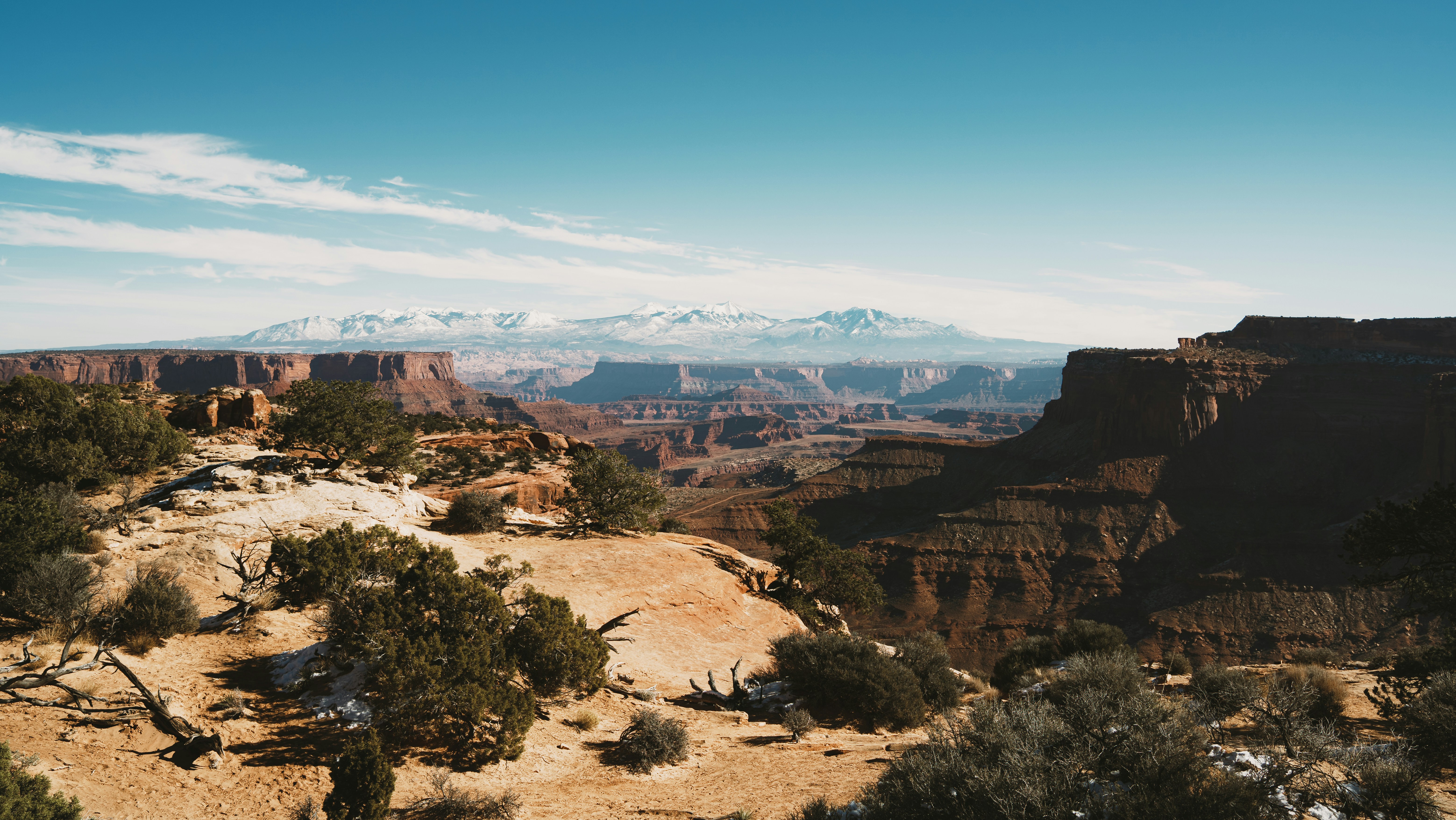 Echoes of the Ancient Earth
