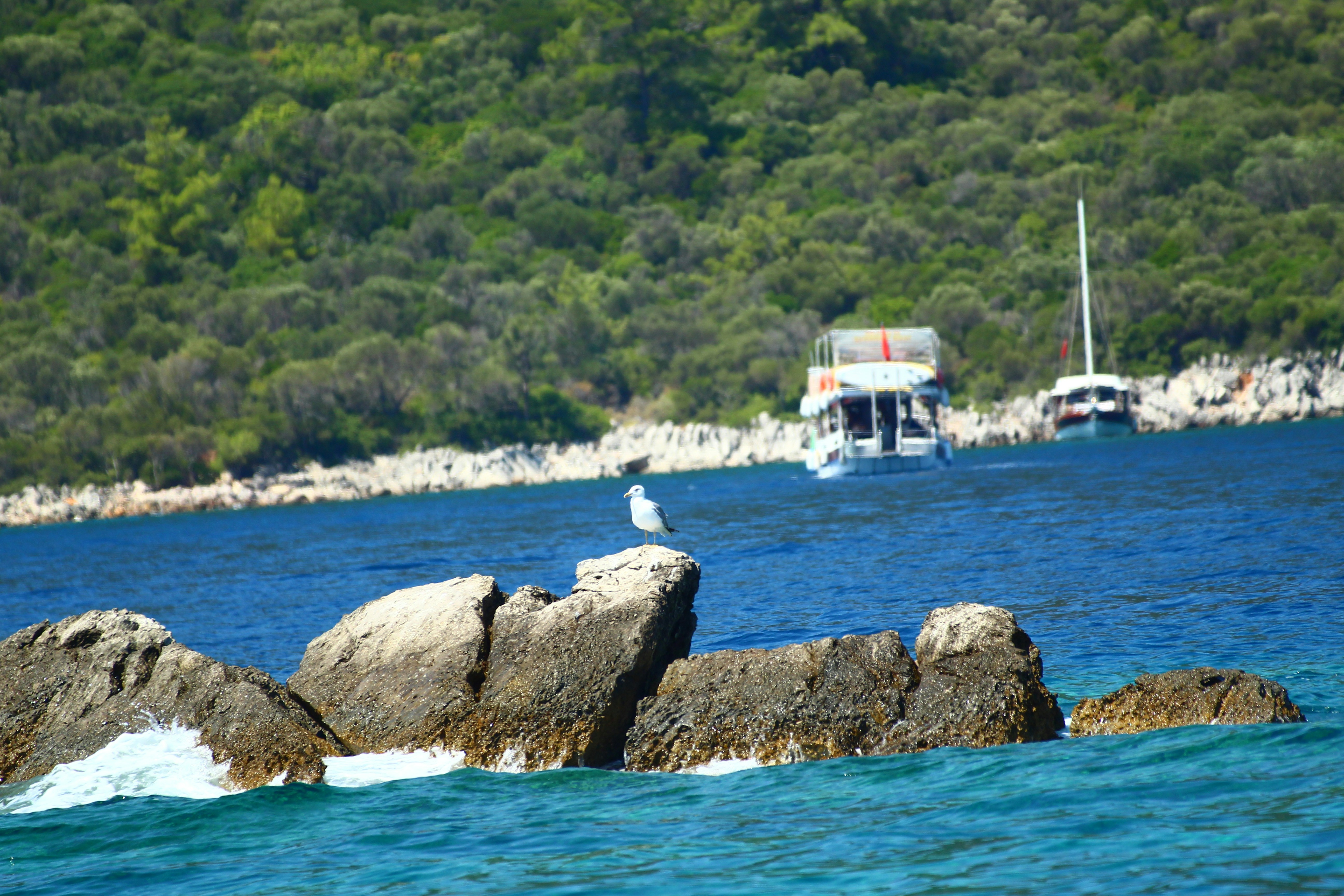 Boats anchored near a rocky coastline with lush green hills.