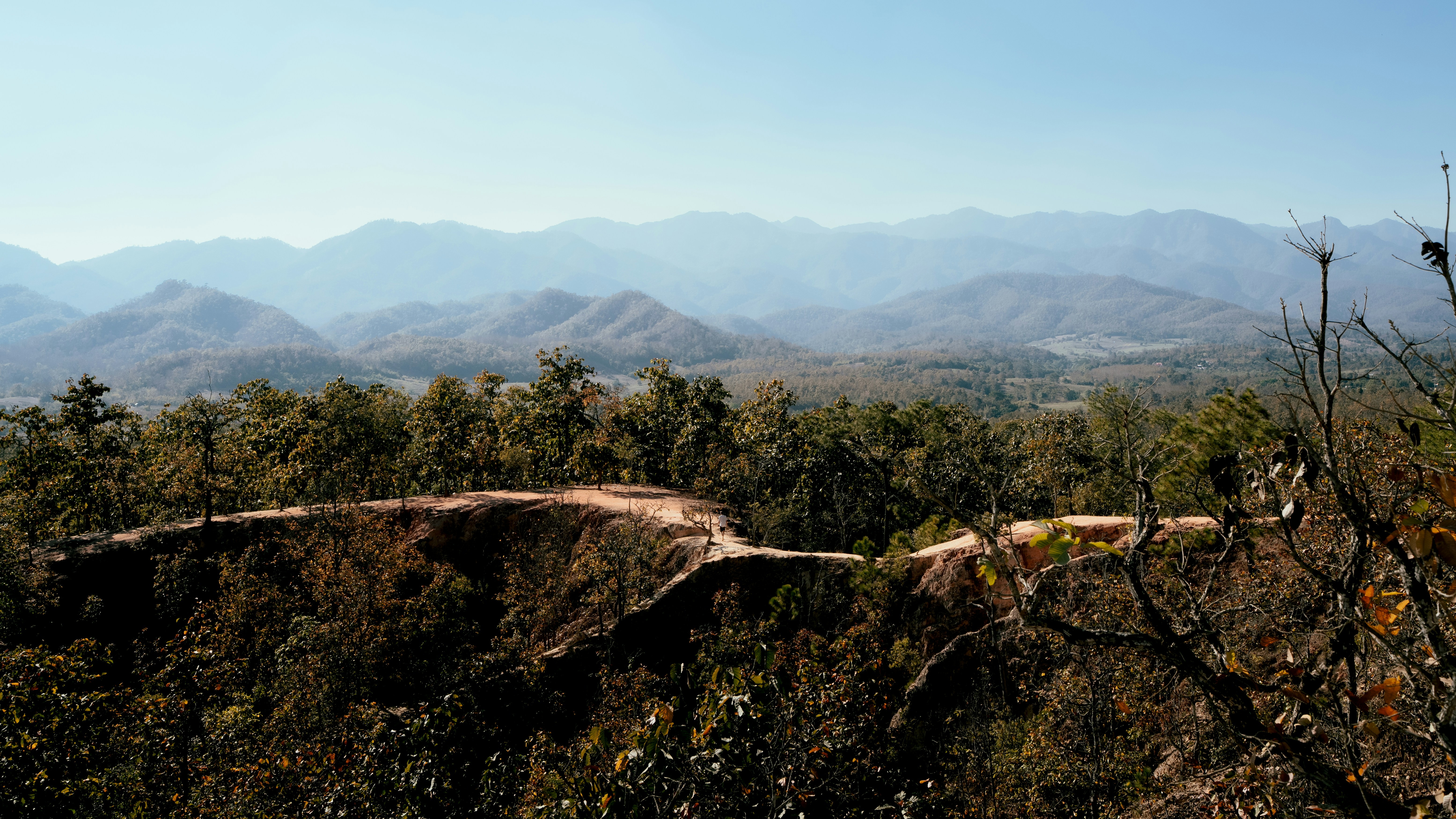 Scenic mountain range with lush green forest below.