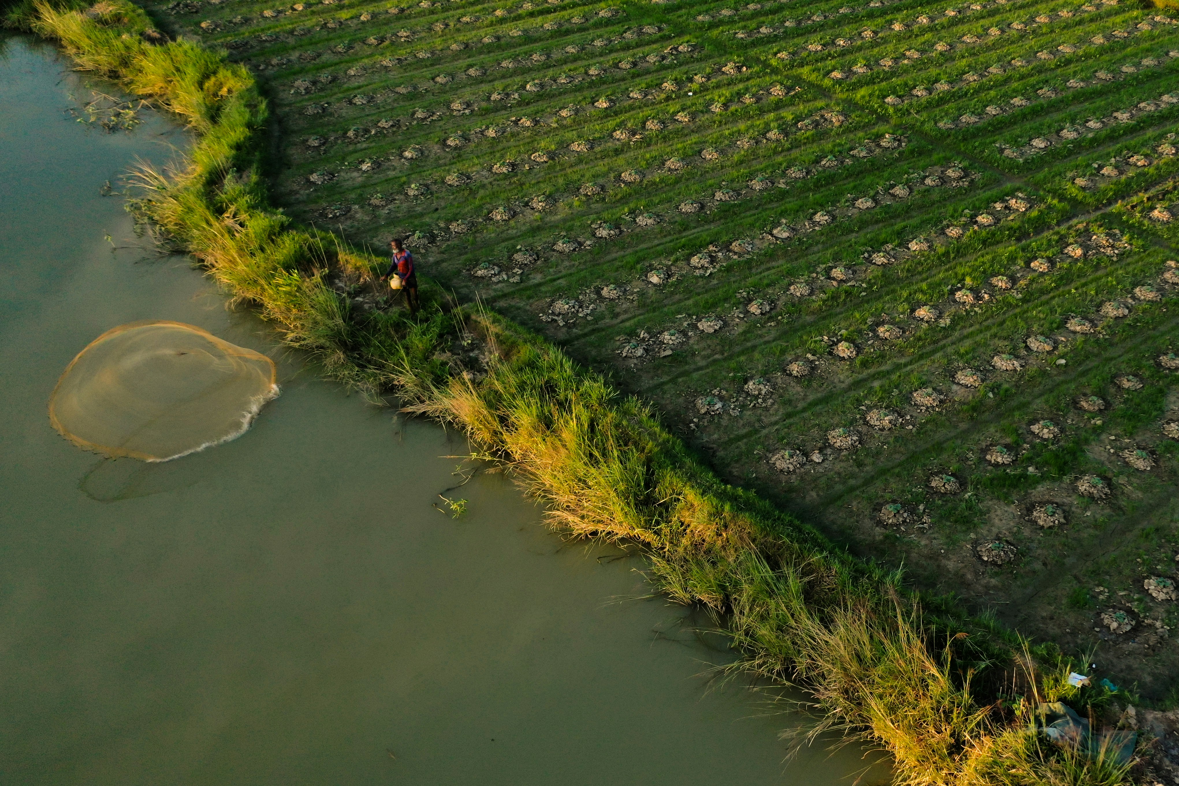 Harmony of Agriculture and Aquaculture