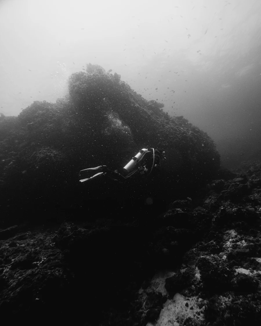 A scuba diver swims through a shadowy underwater reef in monochrome tones, with rocky coral structures filling the frame. Suspended particles drift through the water above.