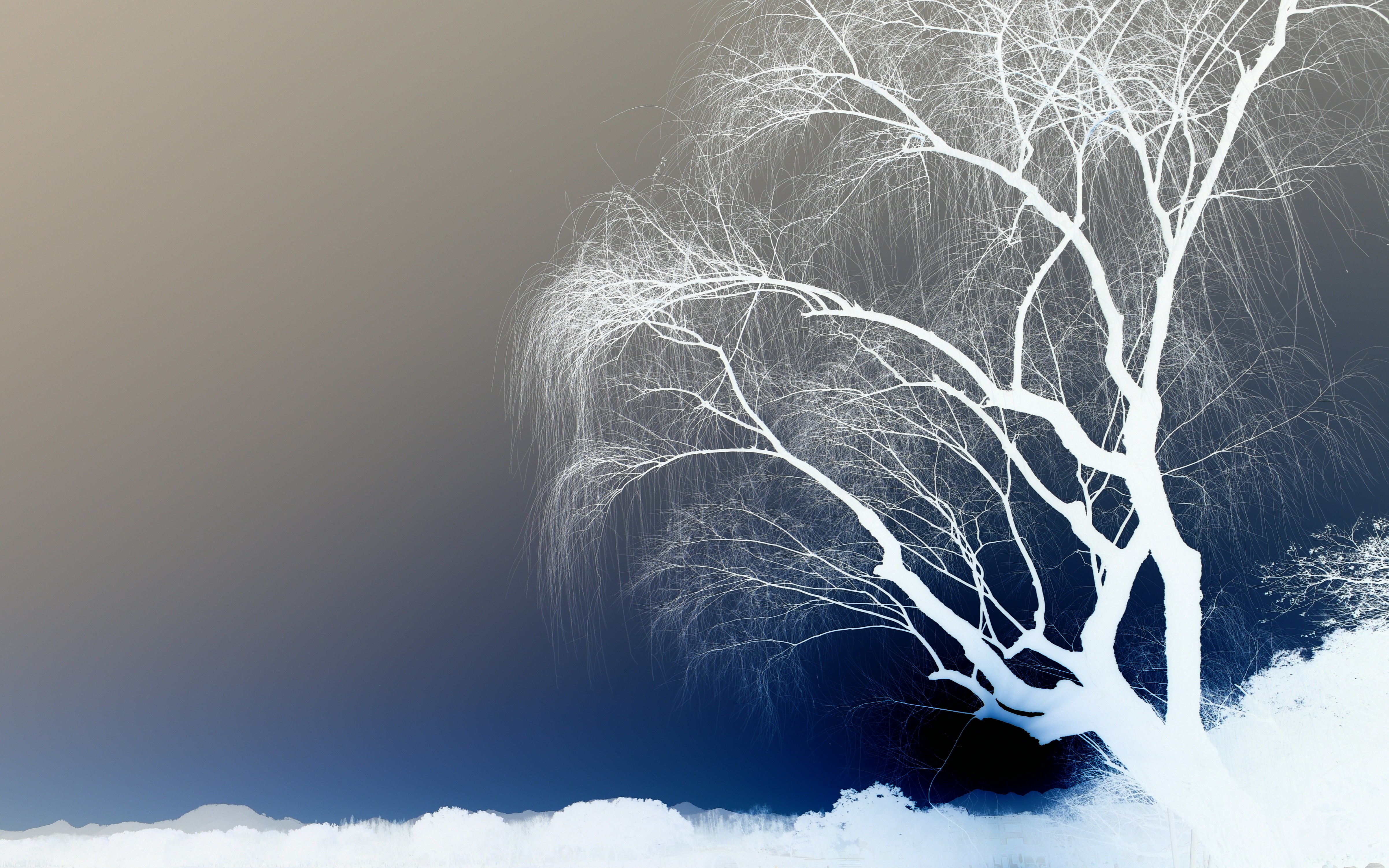 Whispers of Winter: A Silhouetted Elegance