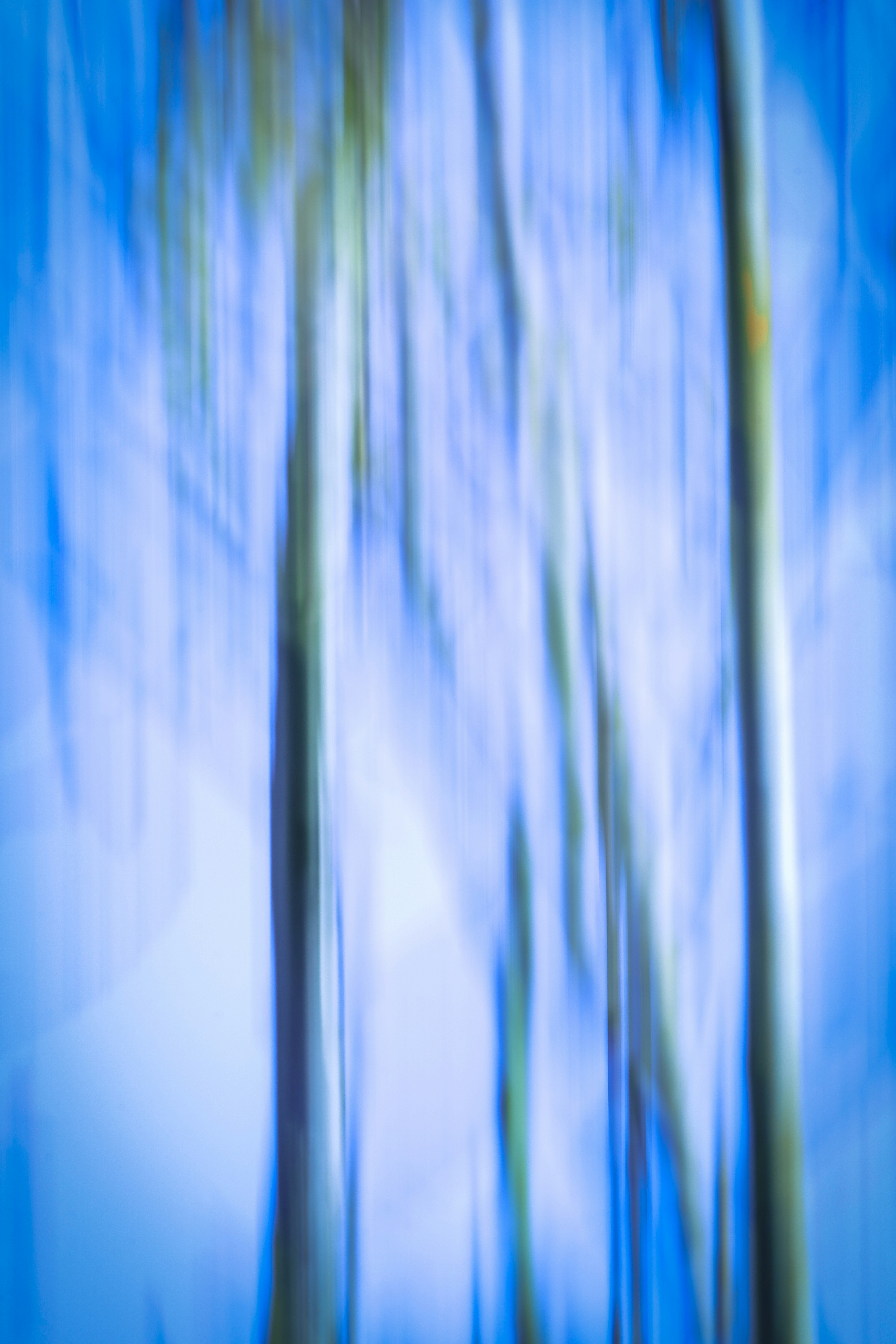 Abstract blue background with vertical blurry tree trunks