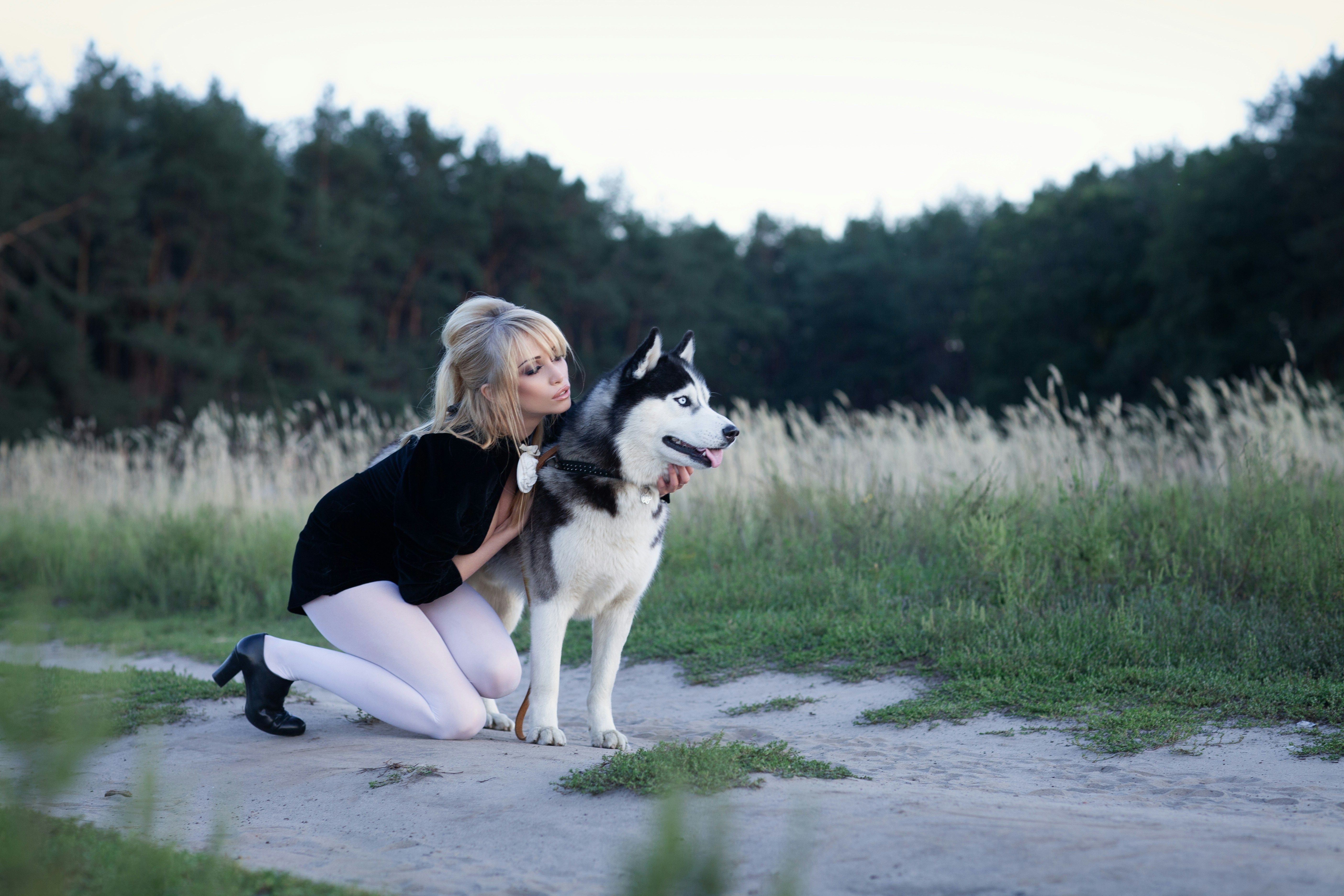 Meadow Veil: A Blonde Woman and Husky Share a Quiet Moment