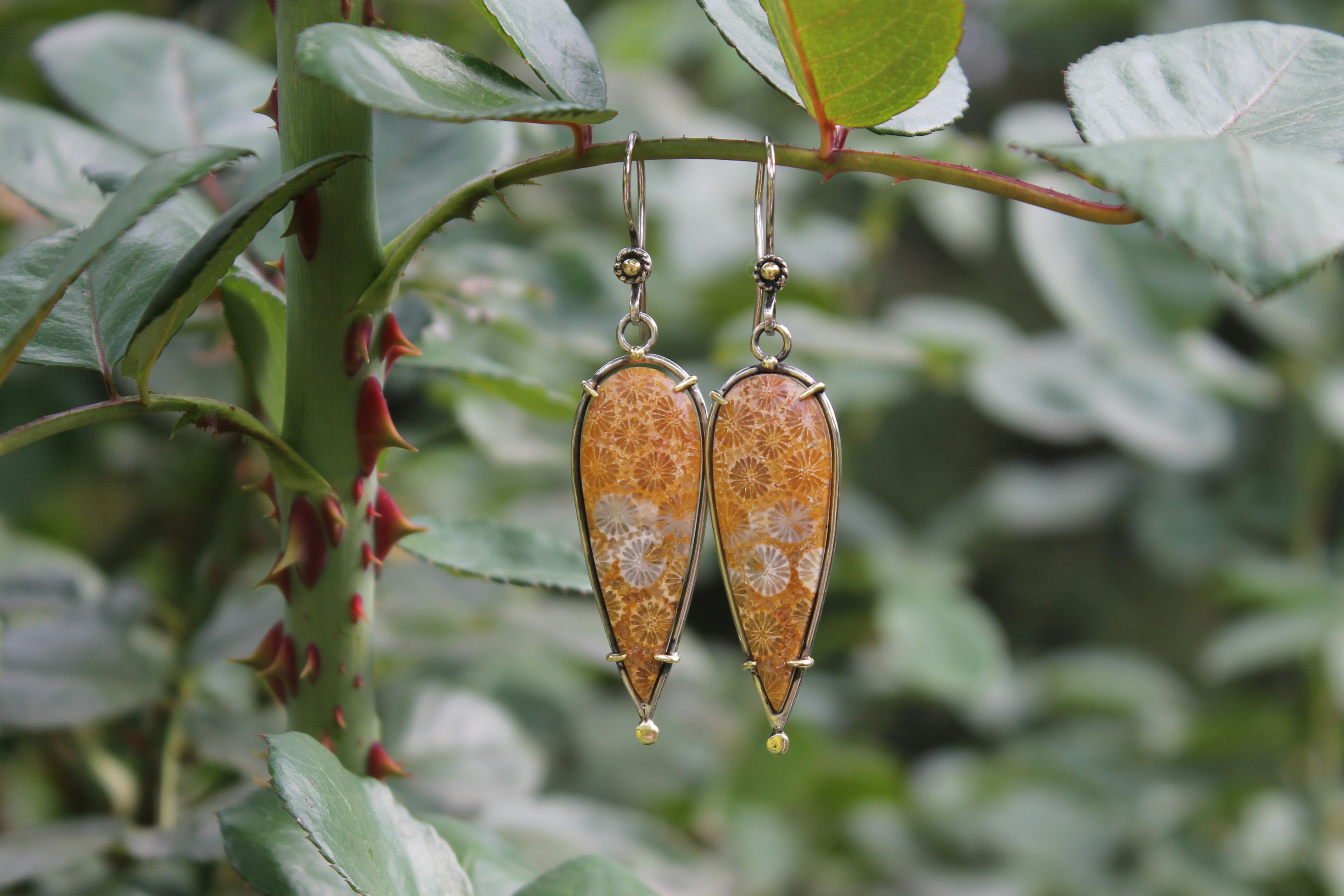 Elegant earrings with amber-like stones suspended from a branch, surrounded by lush green foliage.