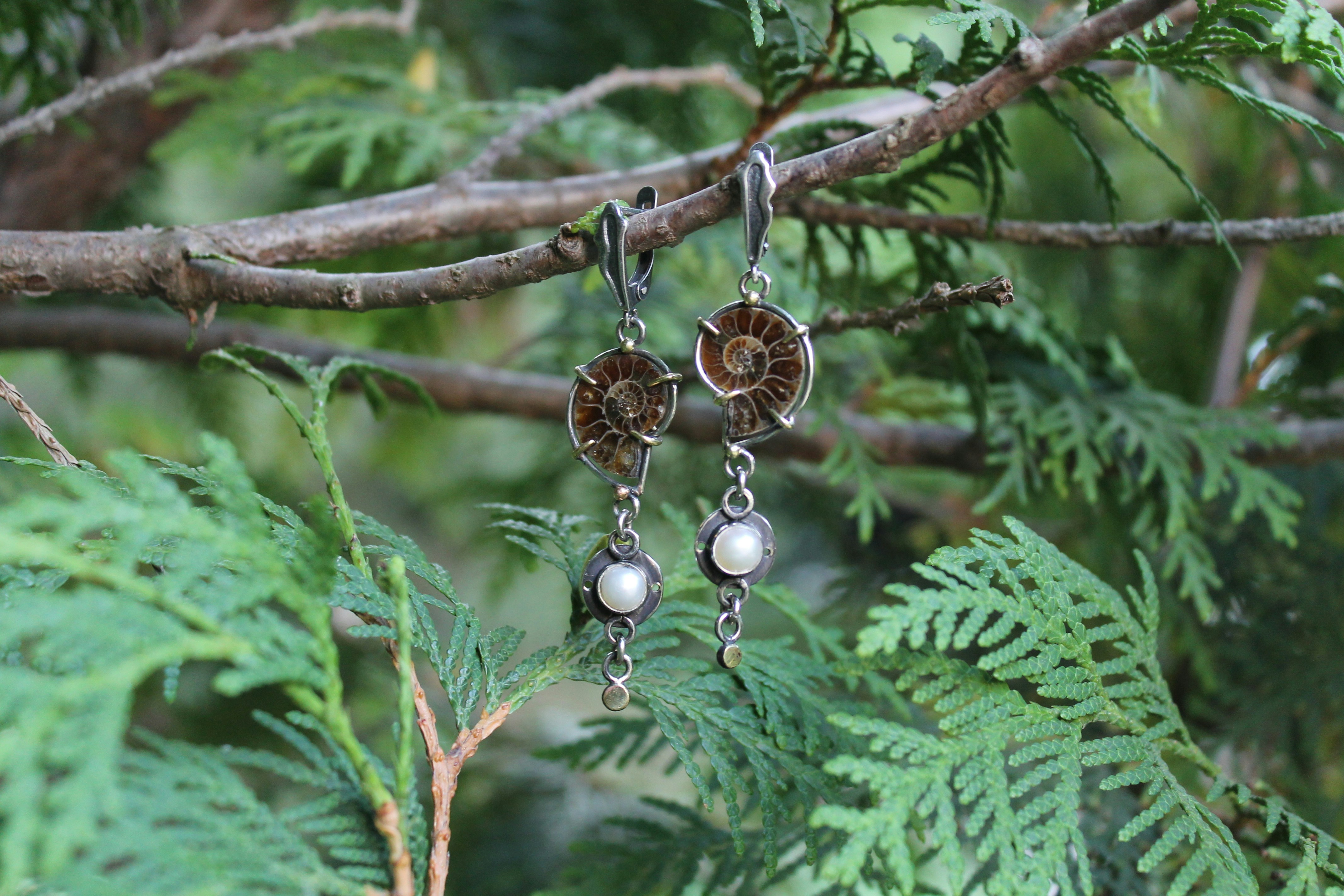 Ammonite fossil earrings with pearls on branch