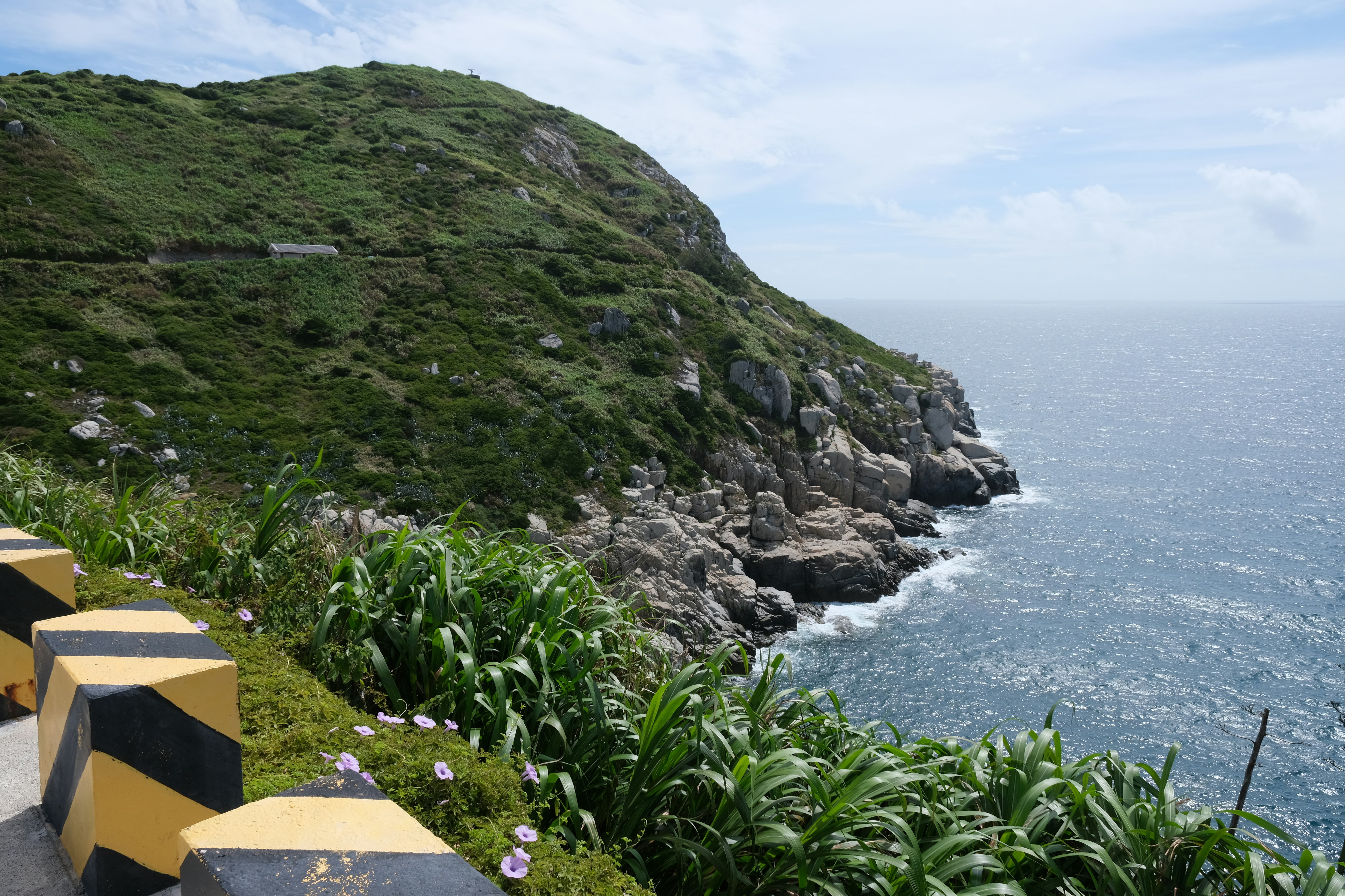 Coastal Verge: Verdant Cliffs, Guardrail Promenade, and the Sea's Edge