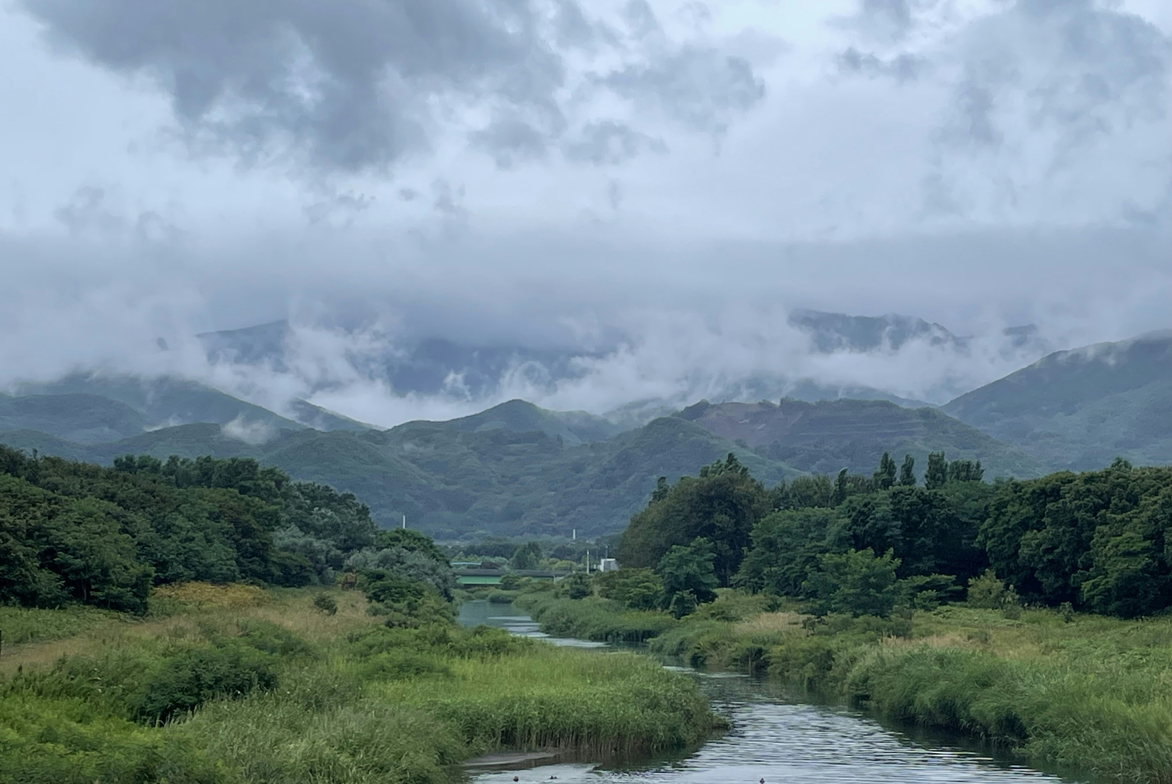 Whispers of the Misty Valley