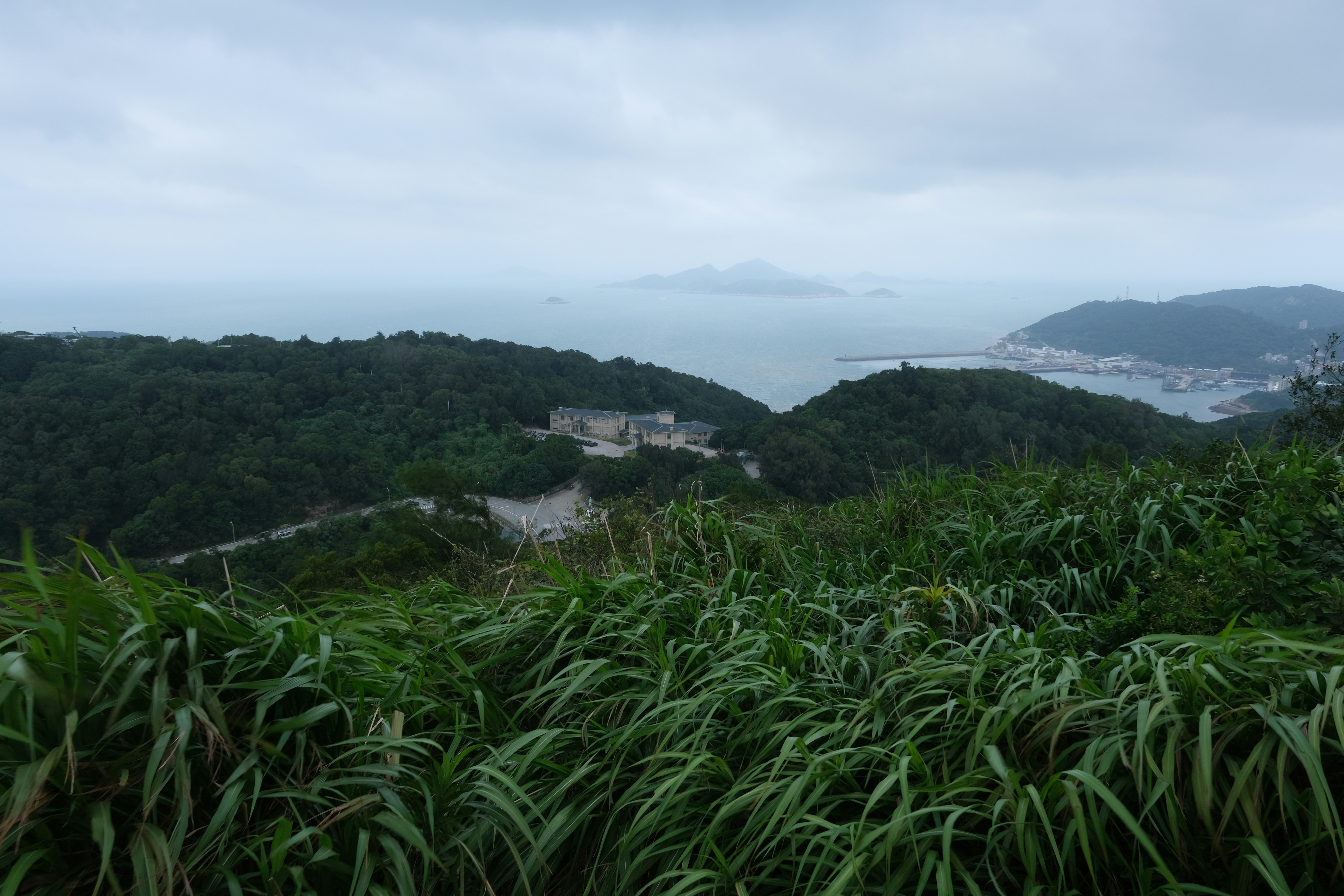 Emerald Ridge Over the Quiet Sea: A Hilltop View Beyond the Mist