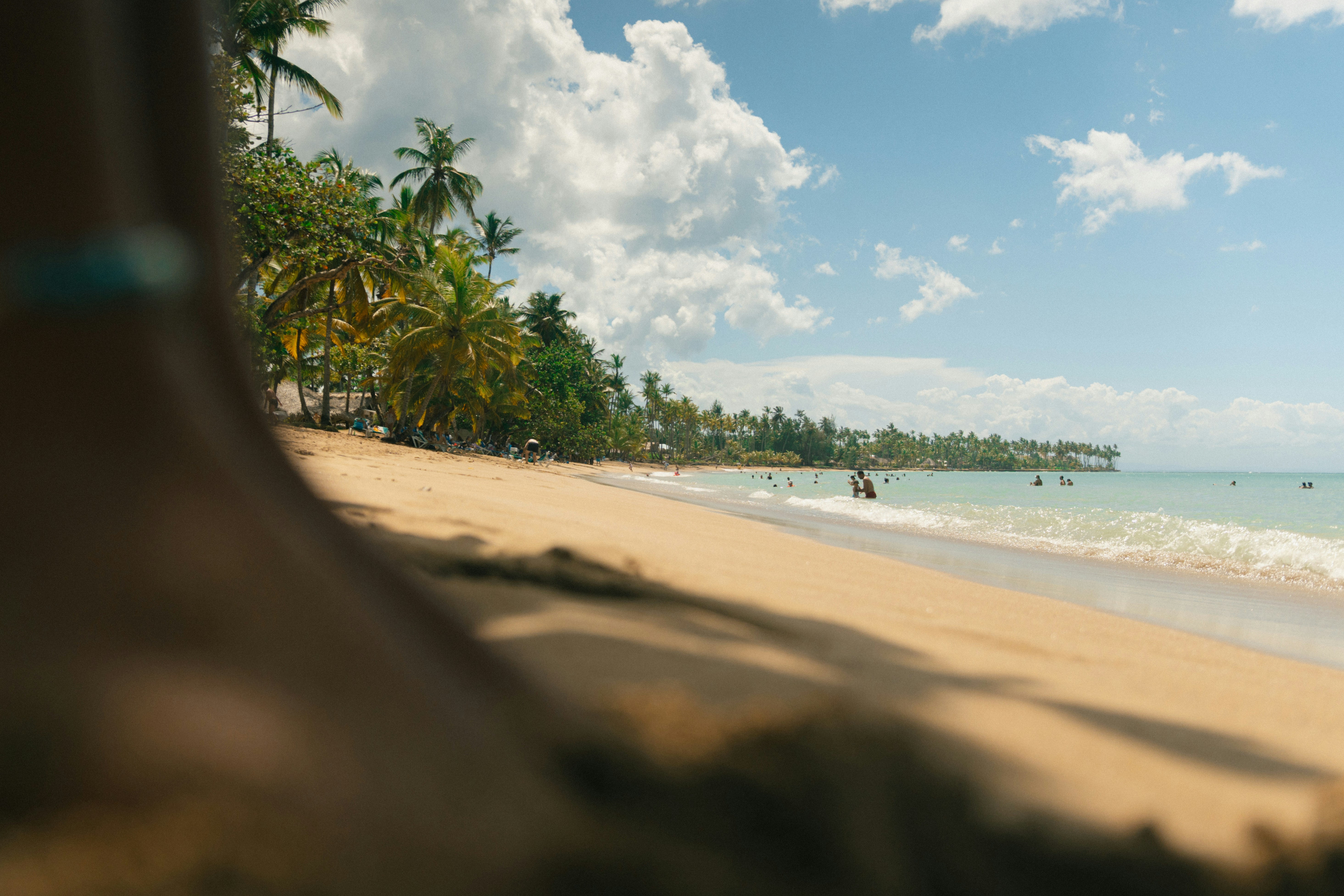 Tropical Serenity: A Coastal Escape