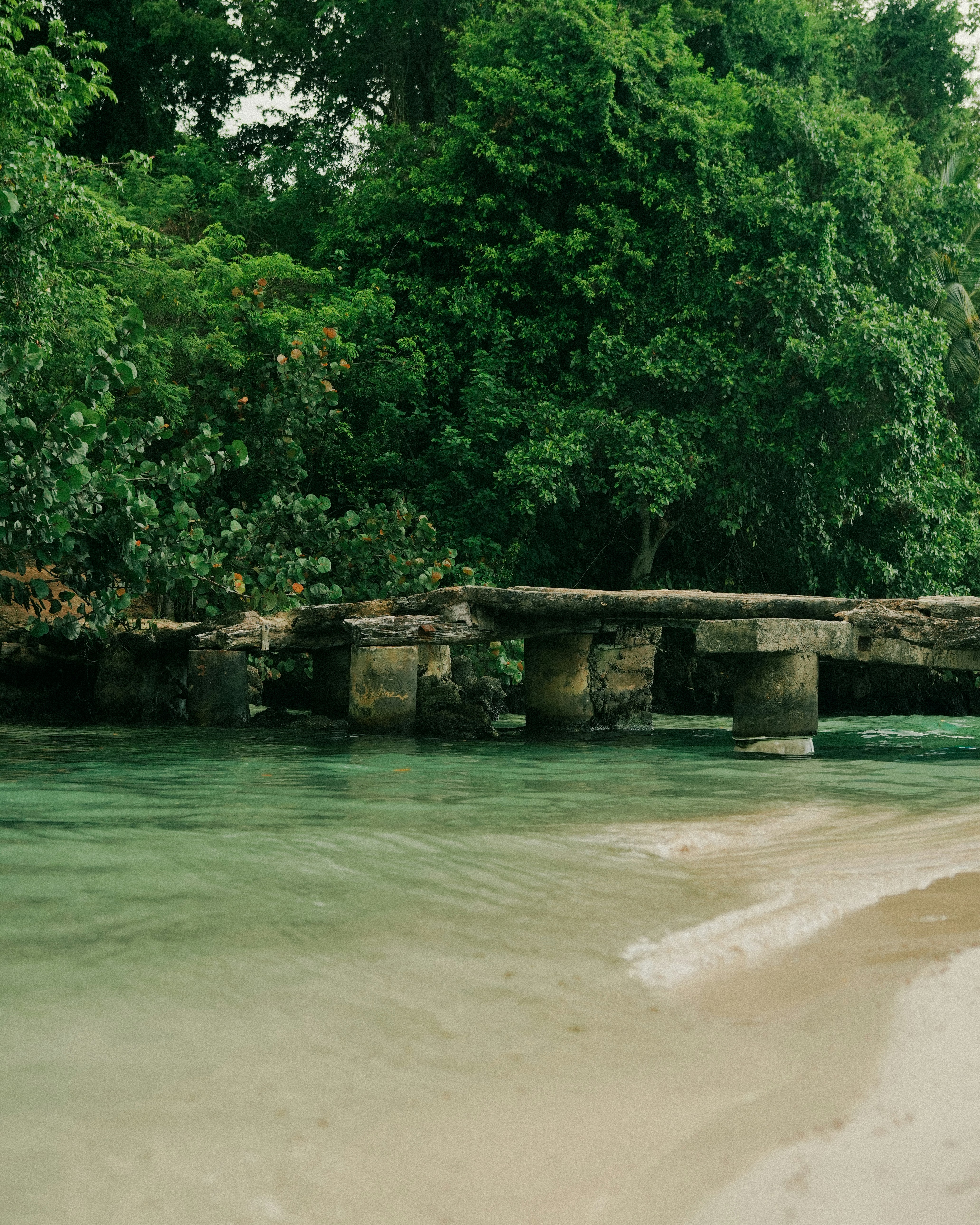 Whispers of Nature: A Serene Coastal Retreat