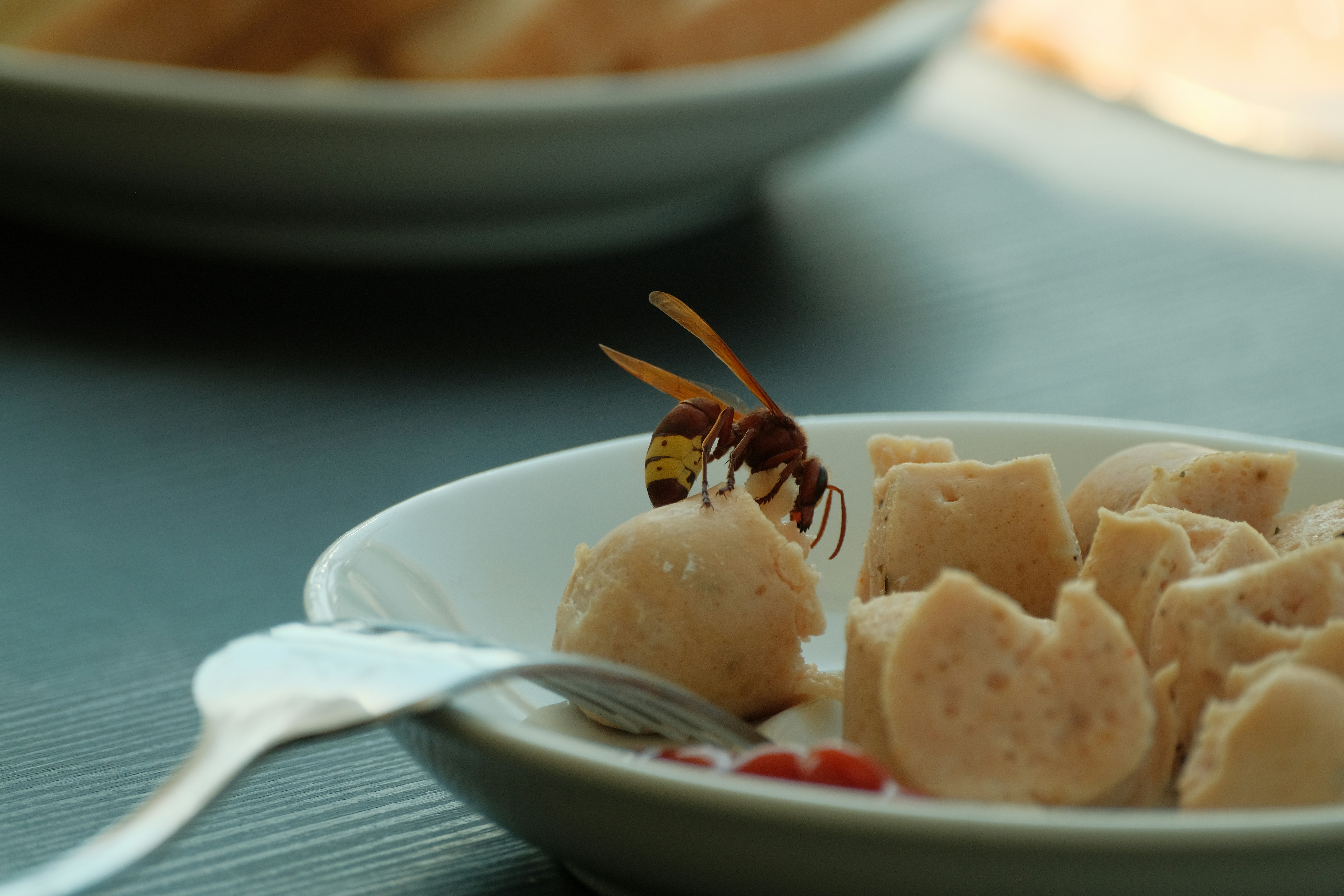 Dinner Intruder: A Wasp Perches on a Gnocchi Orb