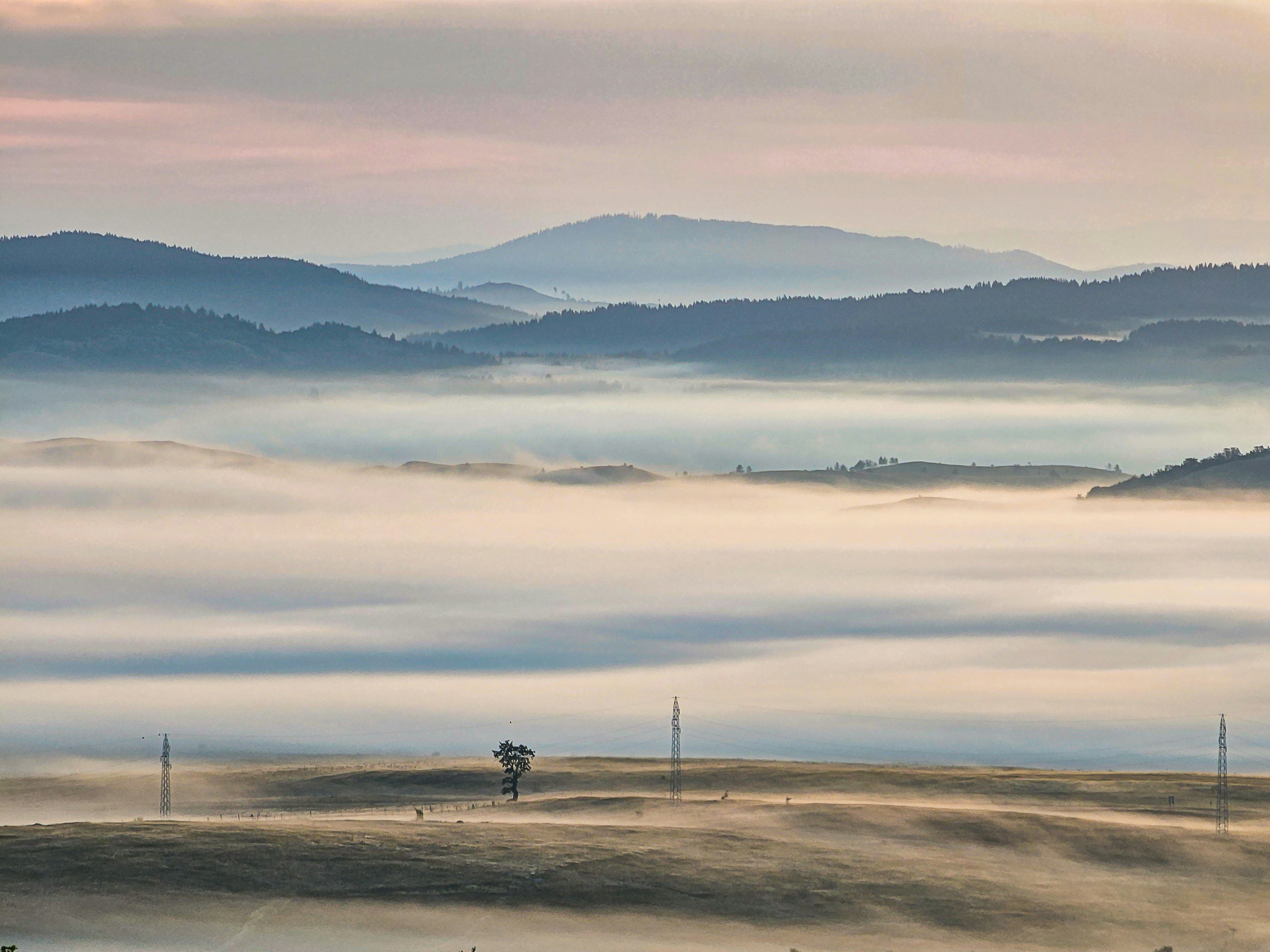 Lone tree stands amidst rolling hills enveloped in a blanket of fog, with distant mountains fading into the soft pastel sky.