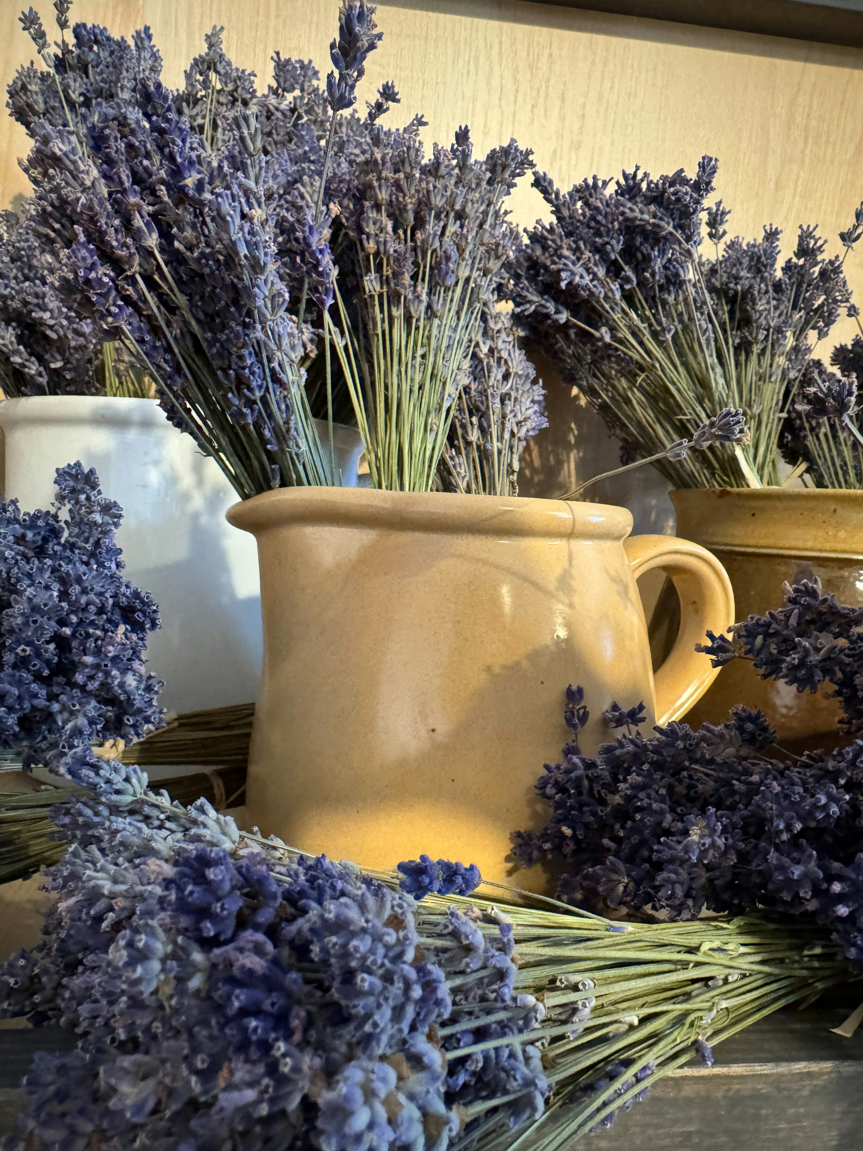 Bunches of dried lavender in rustic pitchers.