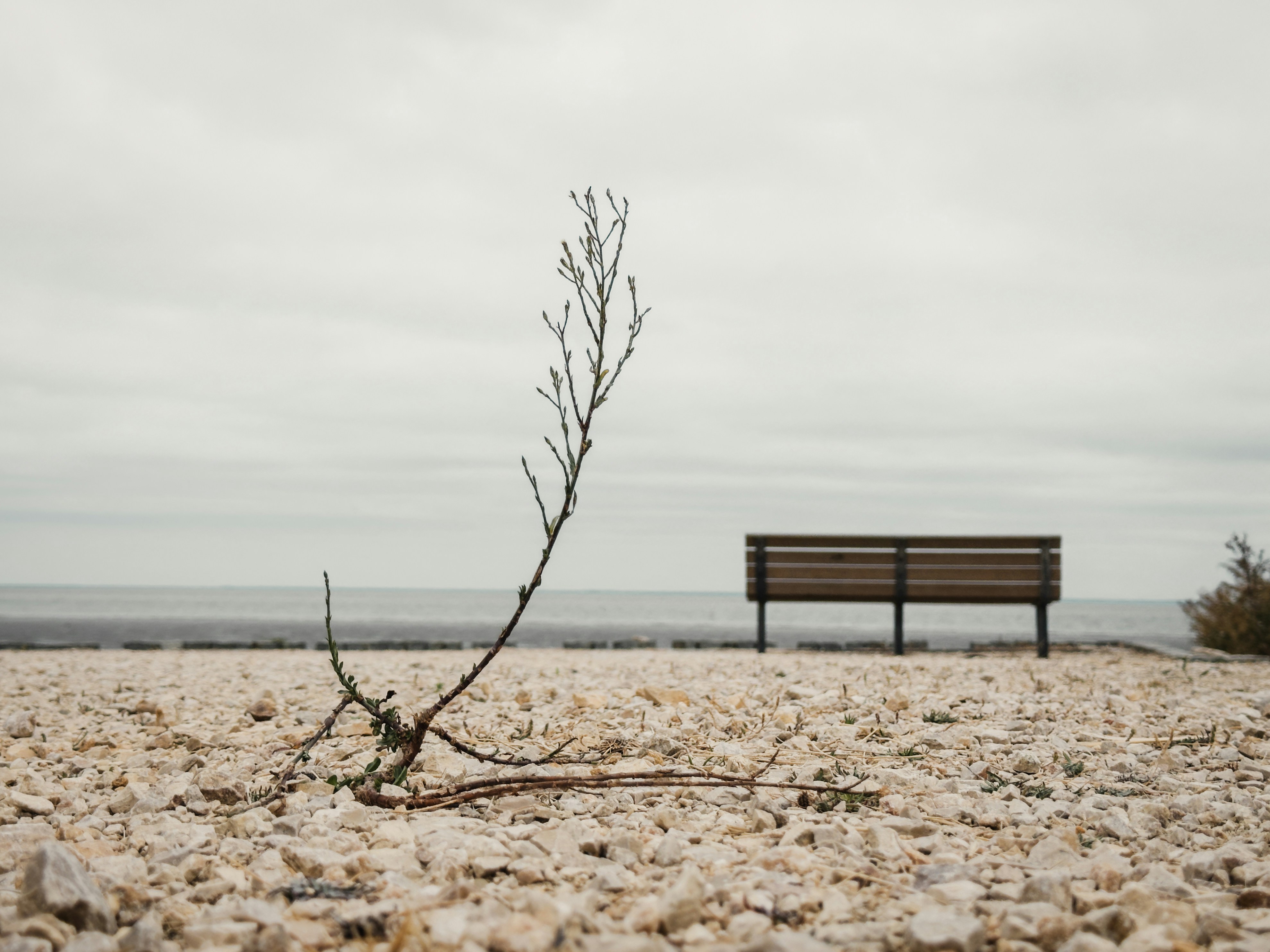A lone bench sits by the water's edge.
