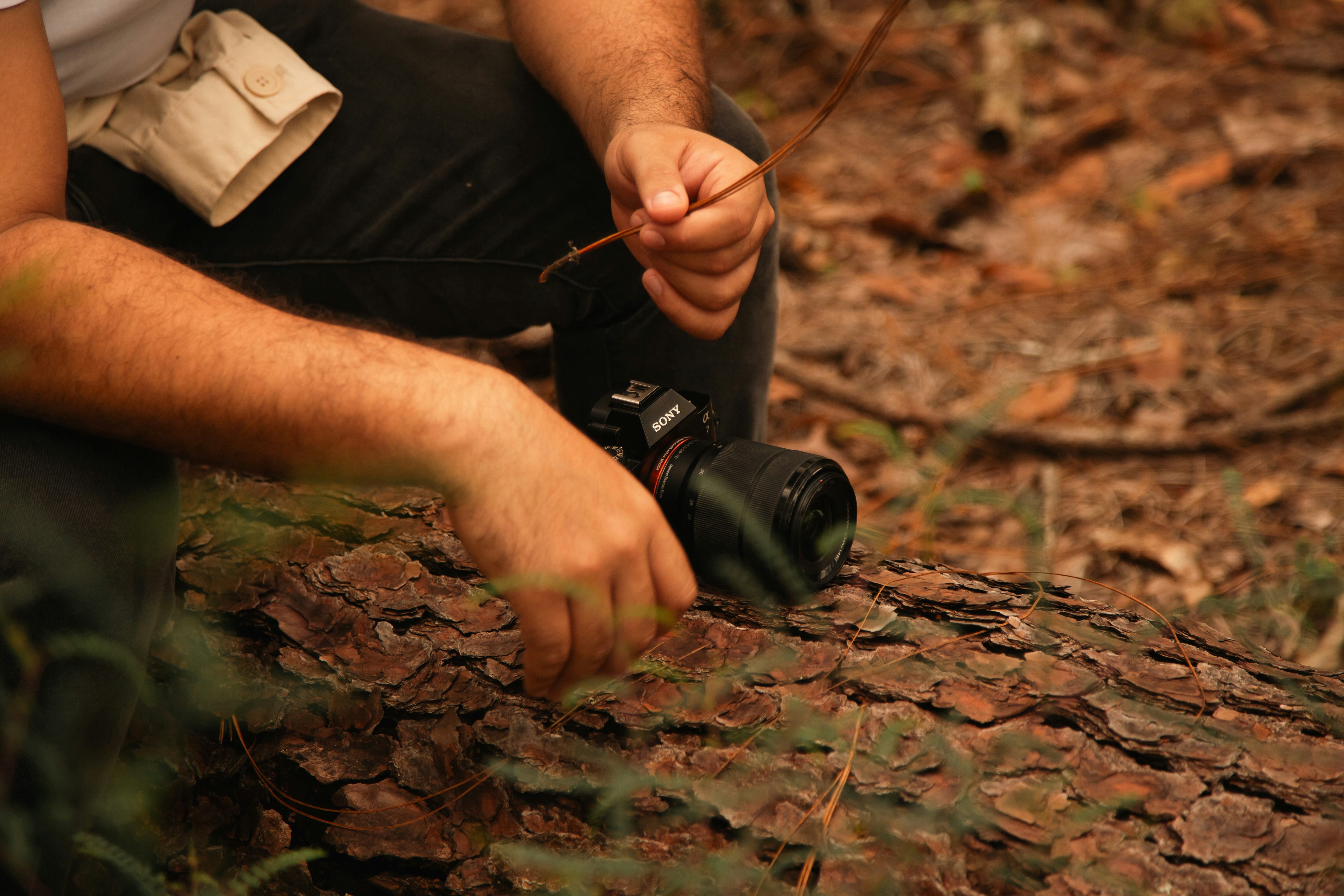 Person holding a stick near a camera and log