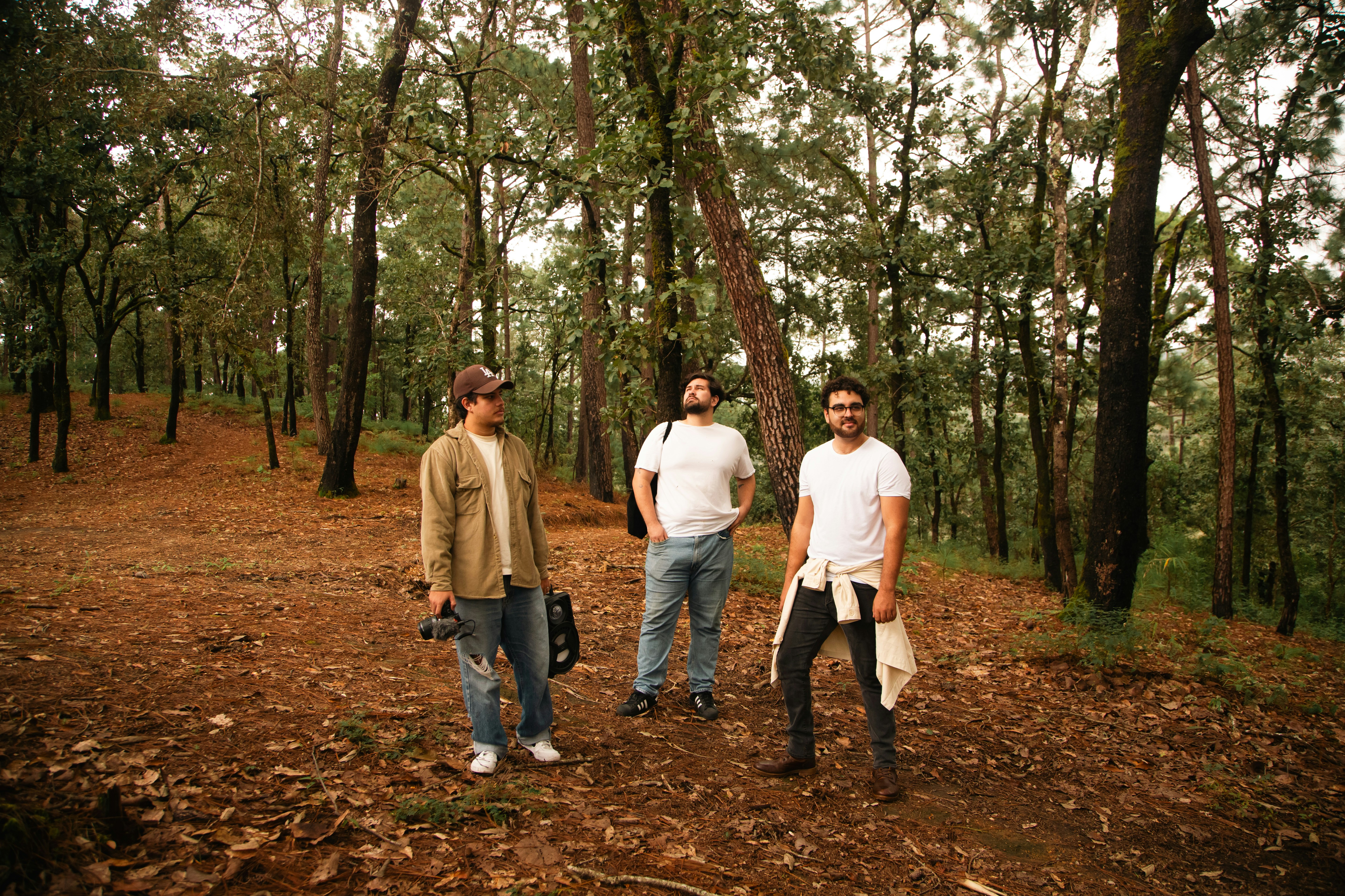 Three individuals enjoying a moment in a lush forest, surrounded by towering trees and earthy tones.
