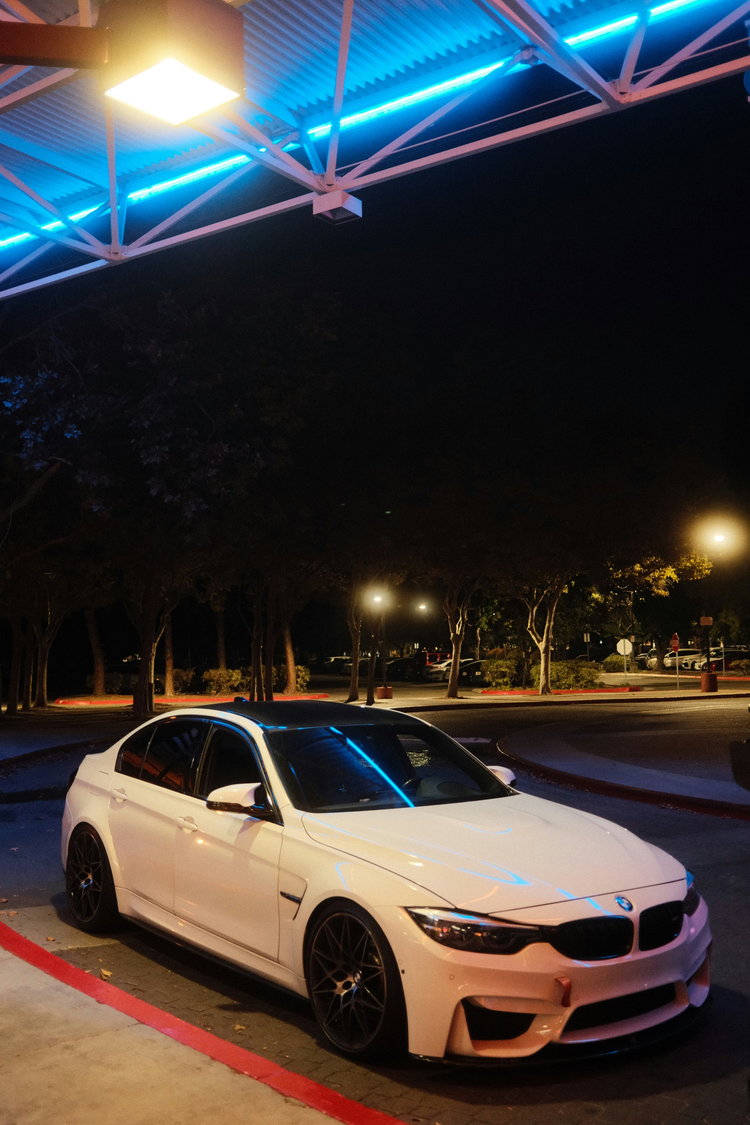 Nighttime Elegance: The BMW in Neon Glow