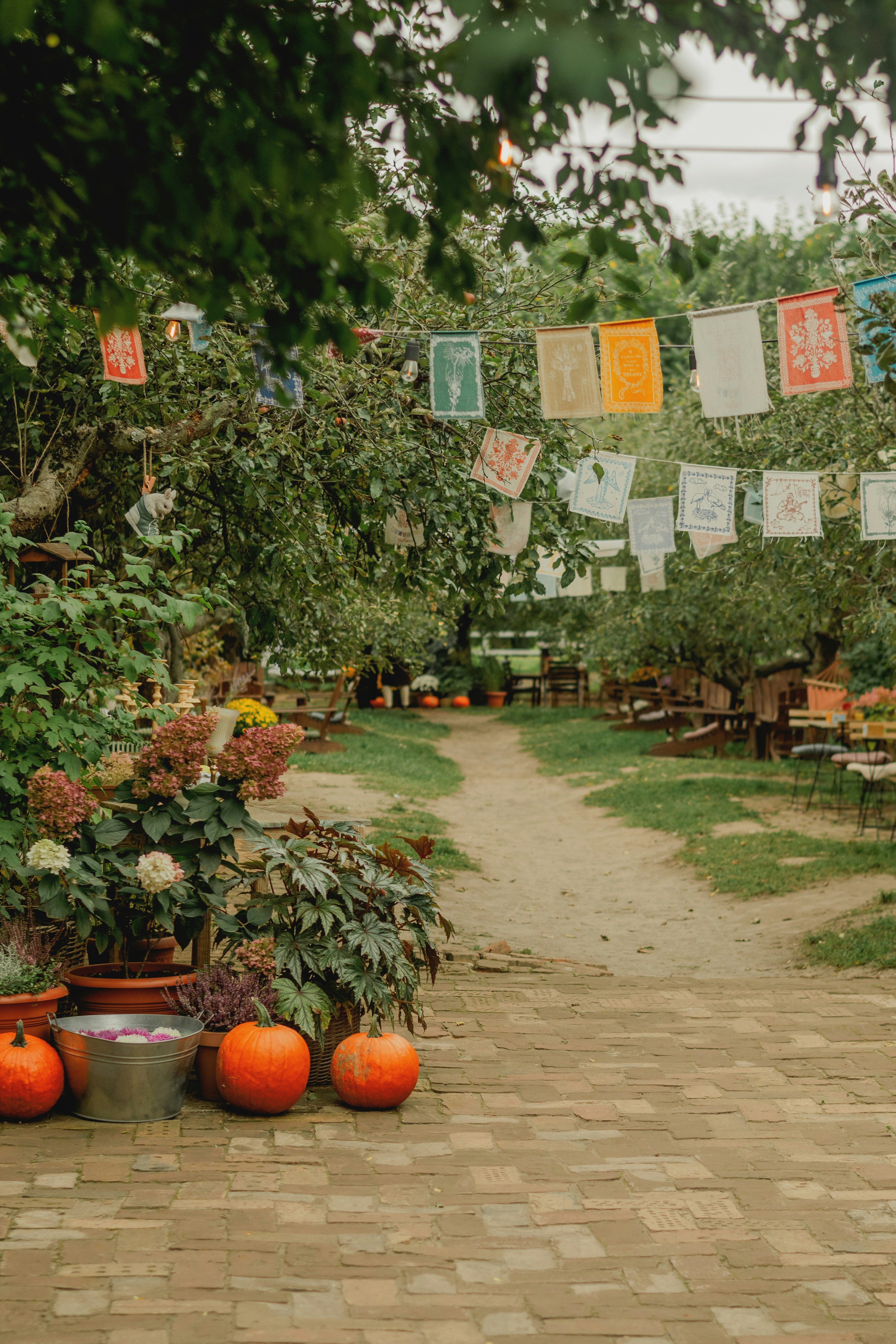 Charming Garden Path with Festive Paper Lanterns