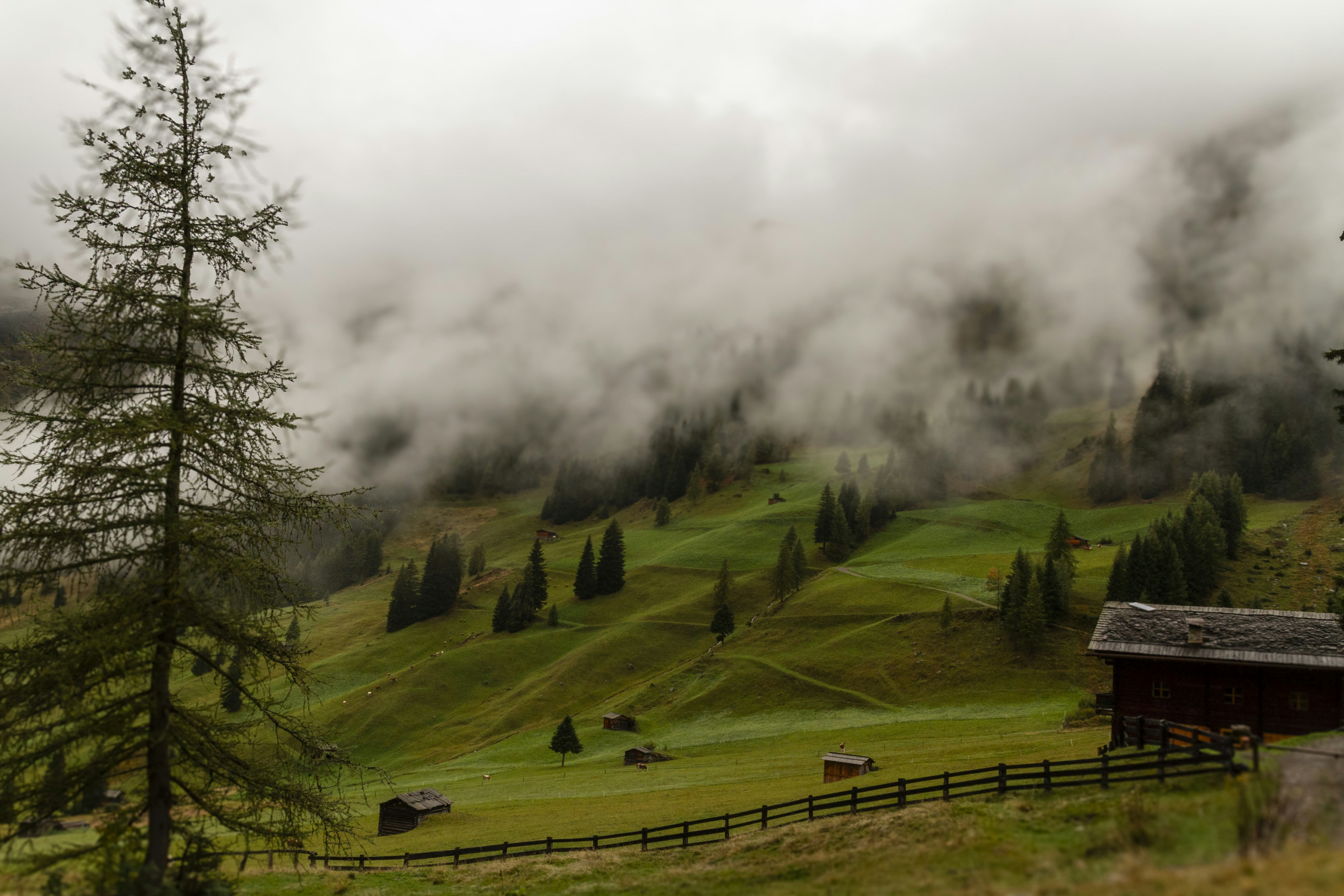 Mist-Woven Alpine Pastures with a Lonely Cabin