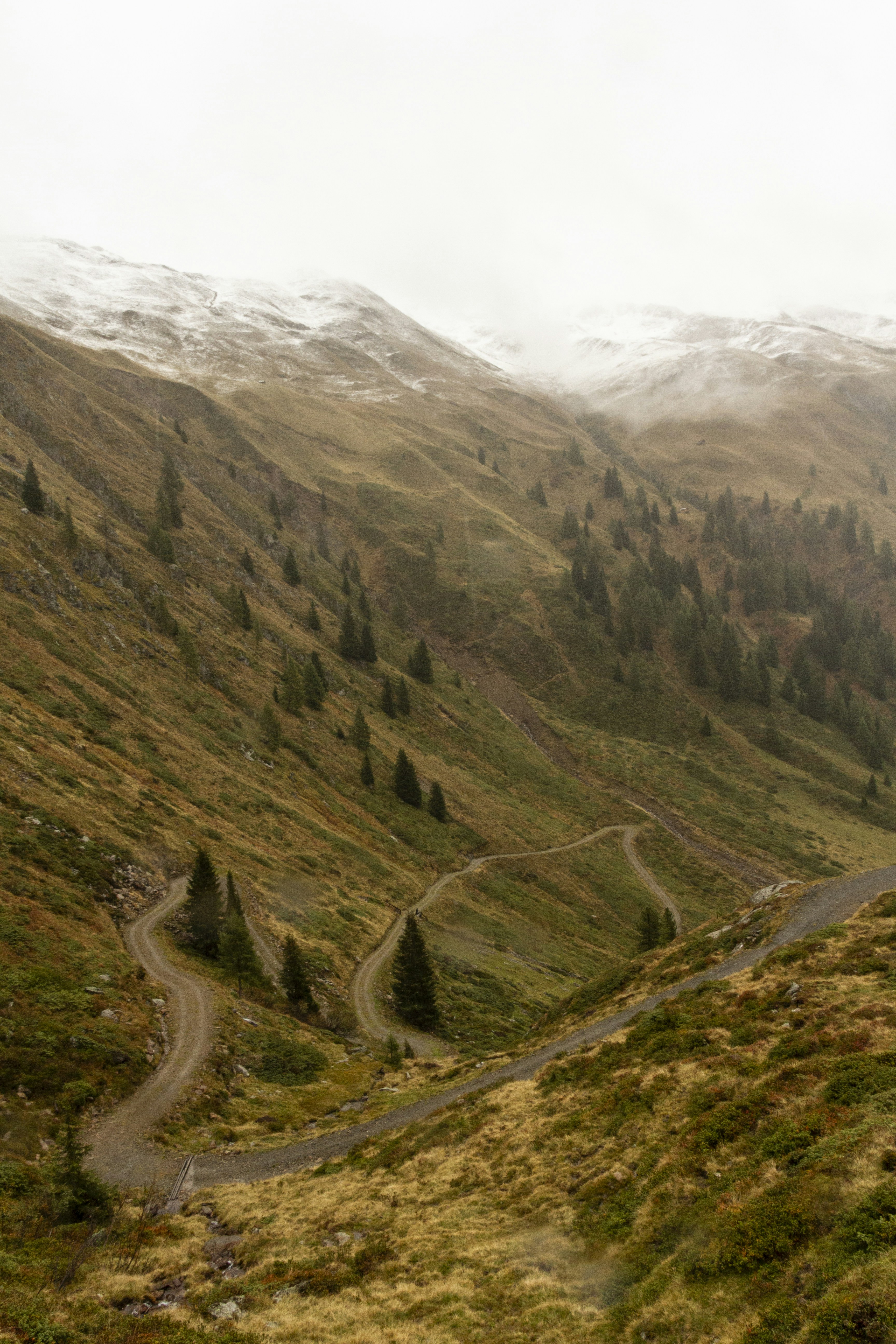 Photo by m c with Canon EOS 7D