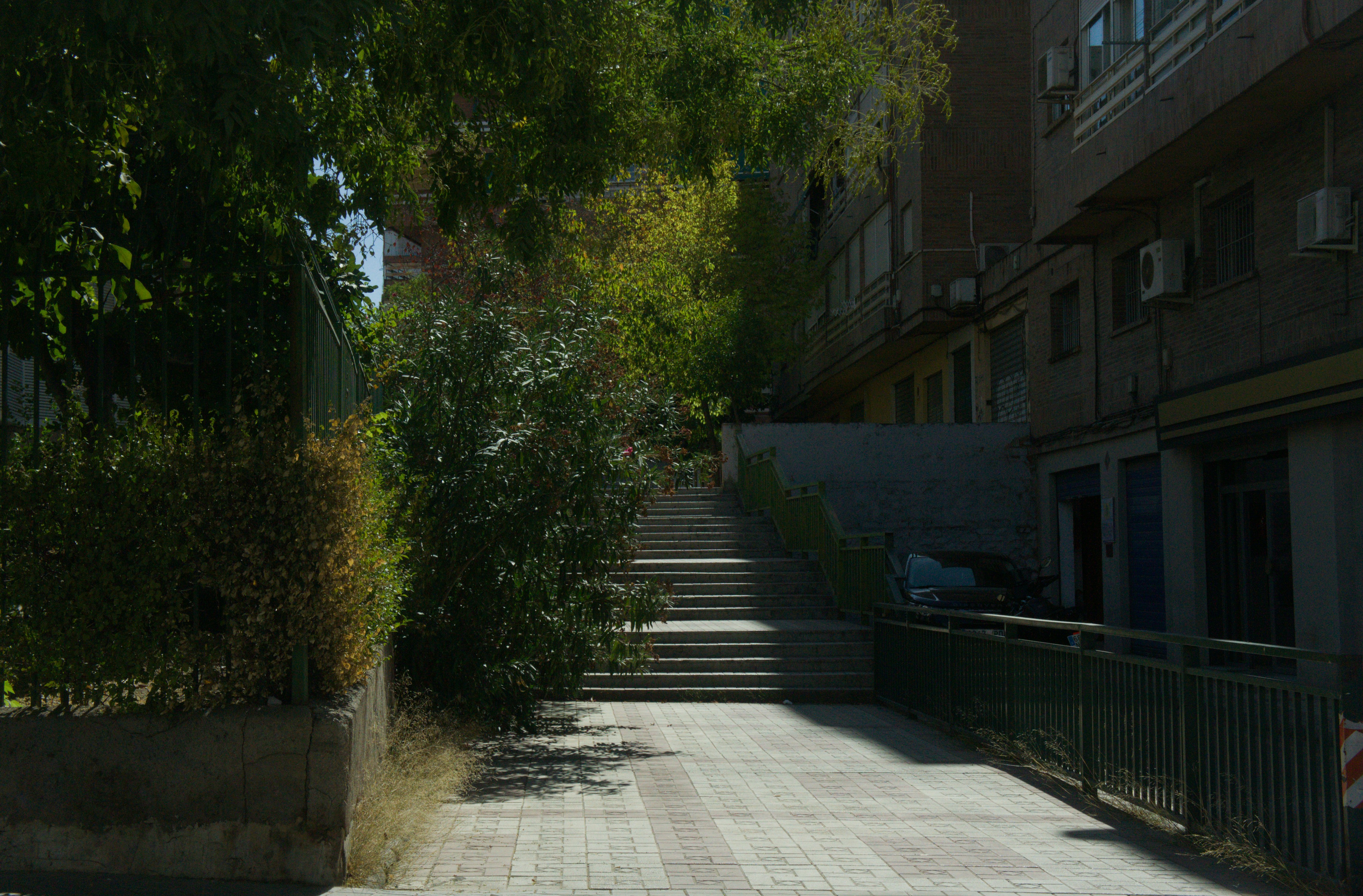 Urban Oasis: A Hidden Pathway