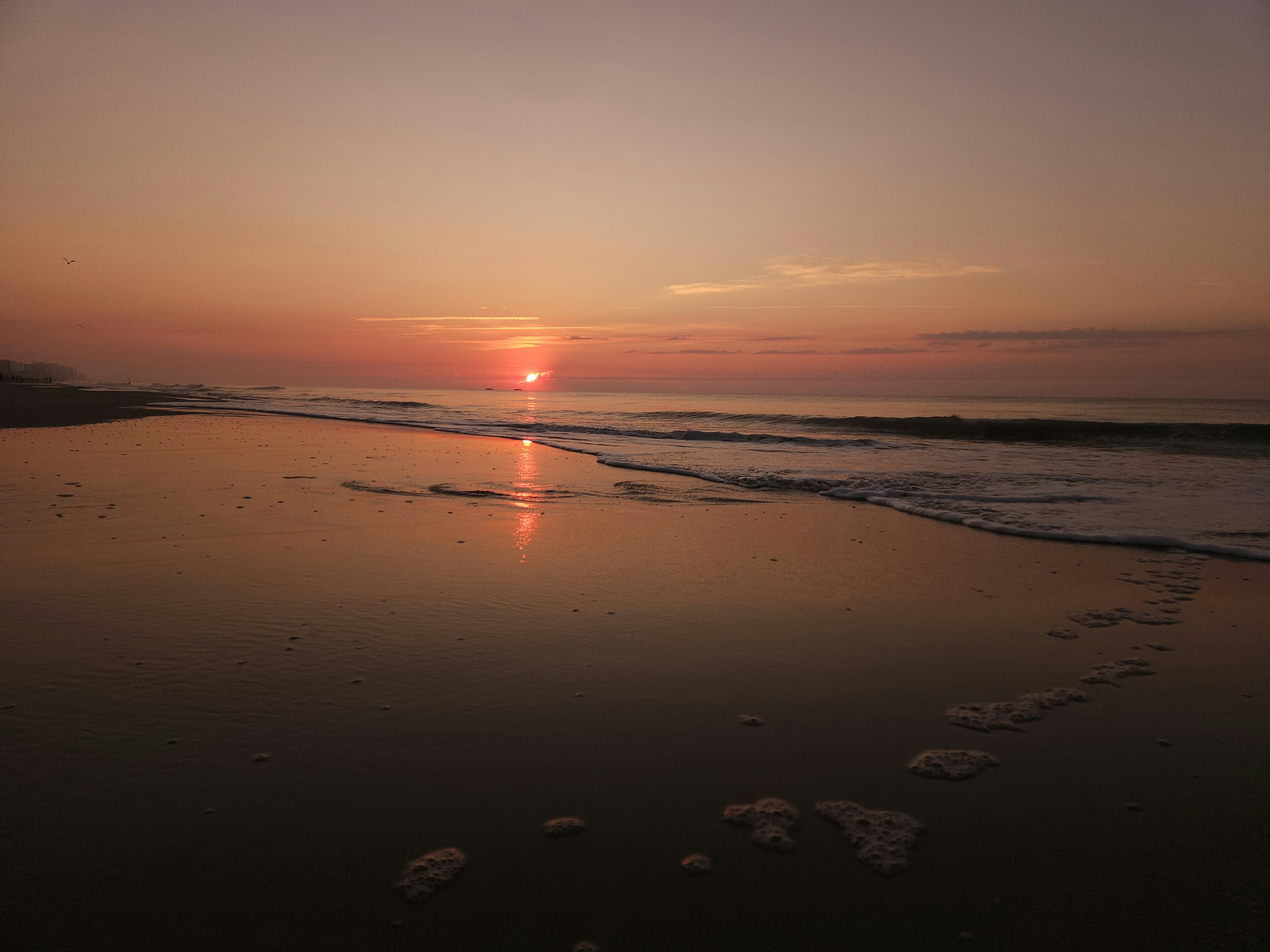 Twilight Reflections on the Shoreline