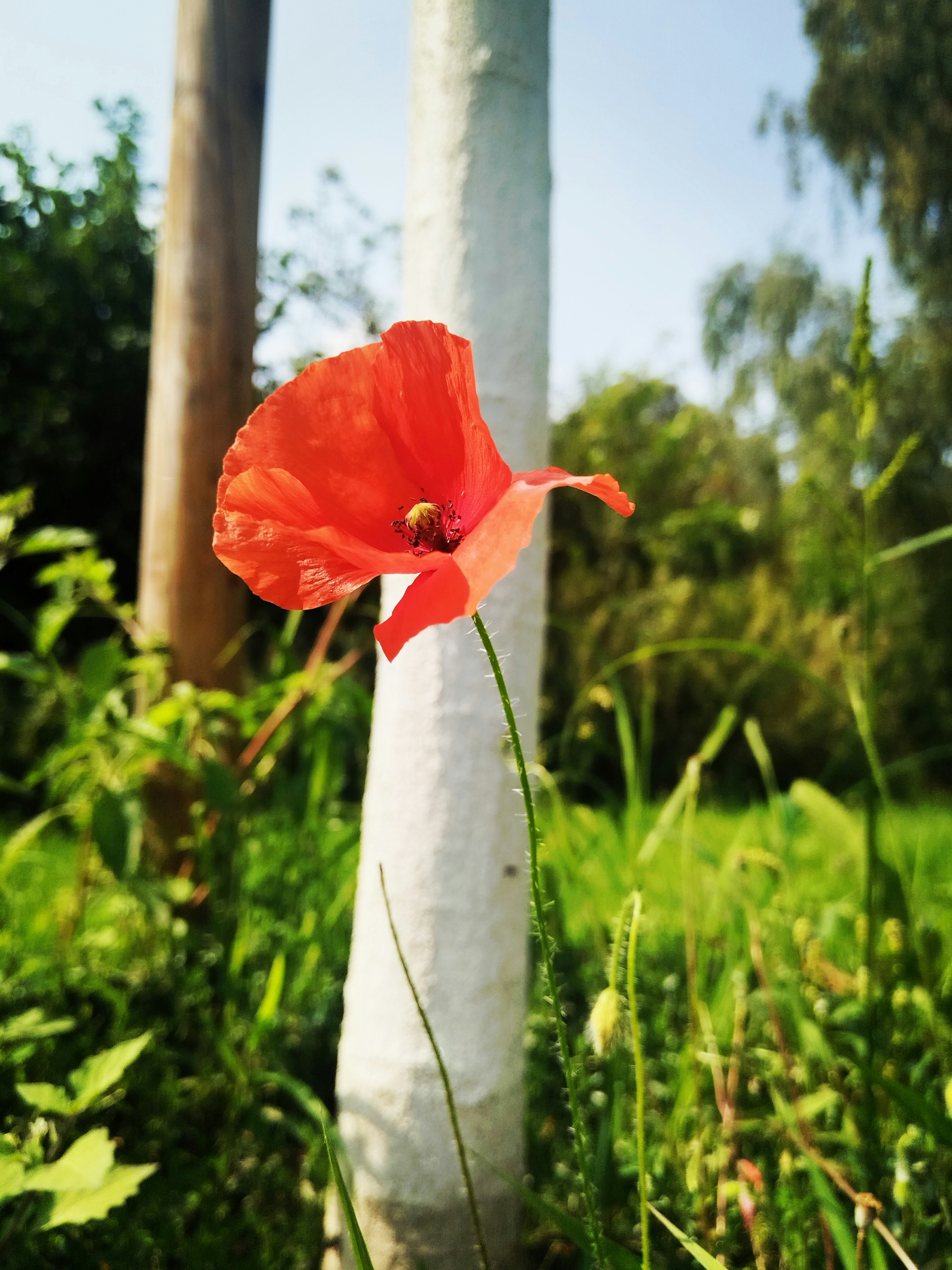 Photo by Unathi Tshabalala