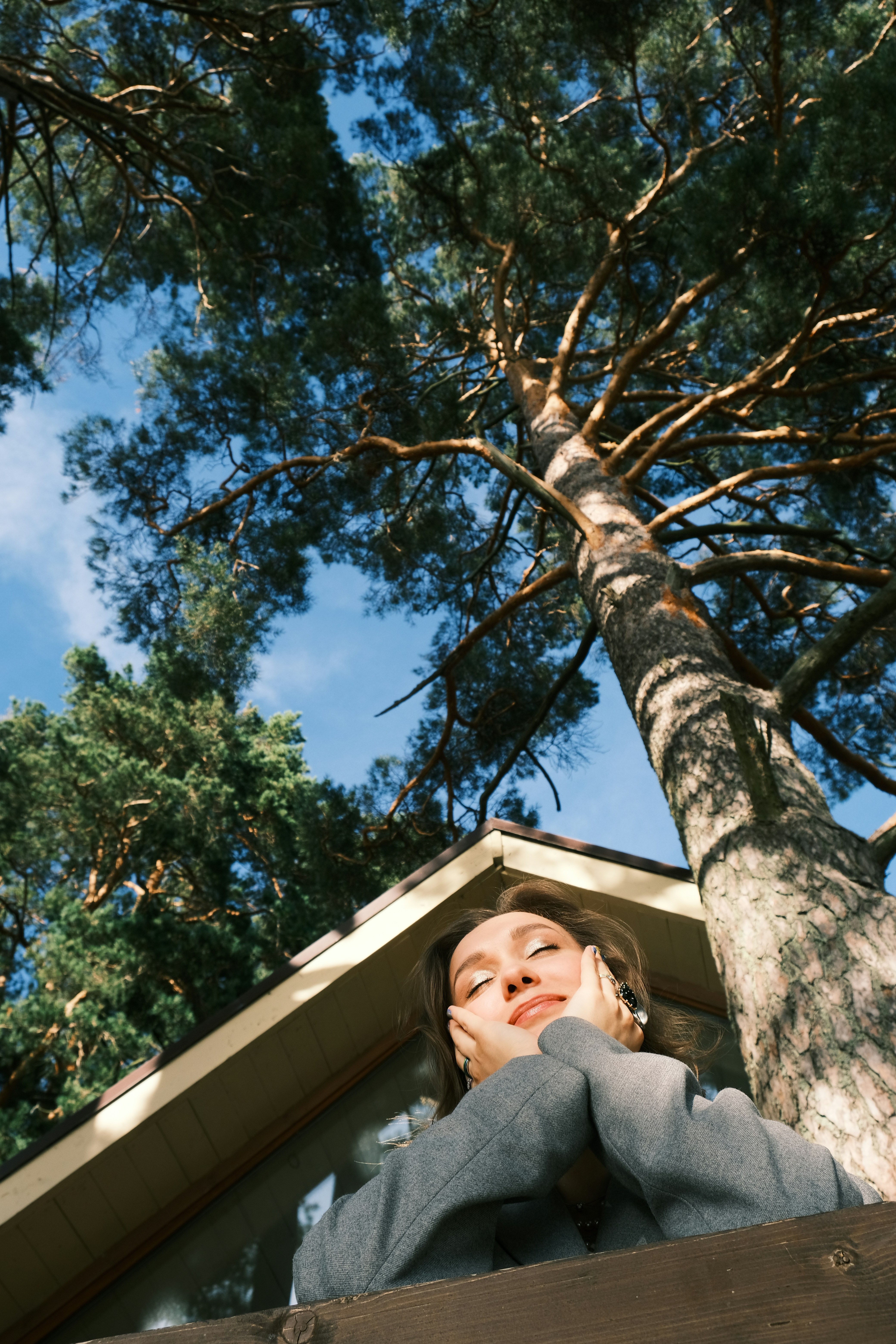 Woman resting under a large pine tree