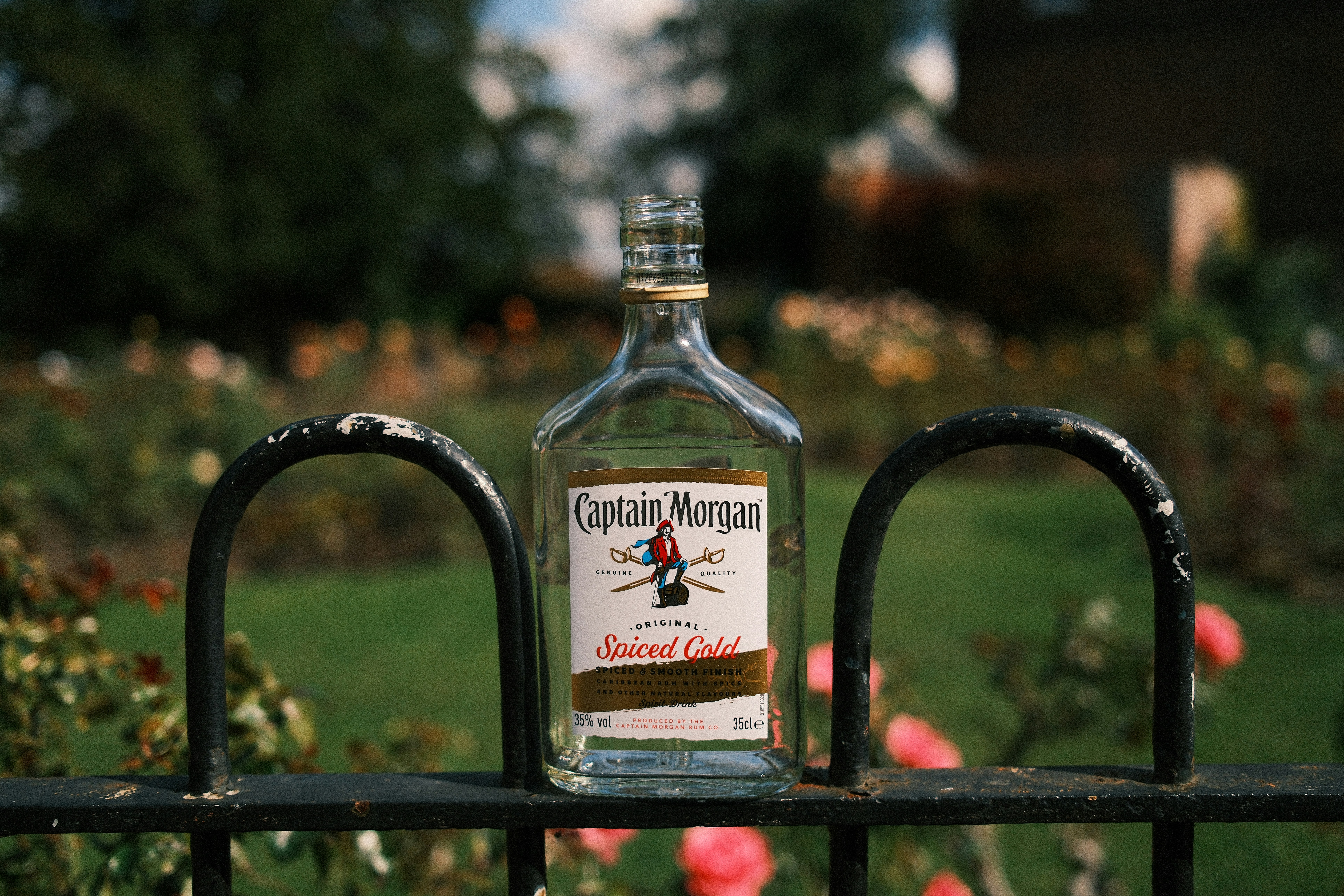 A Toast to Nature's Serenity