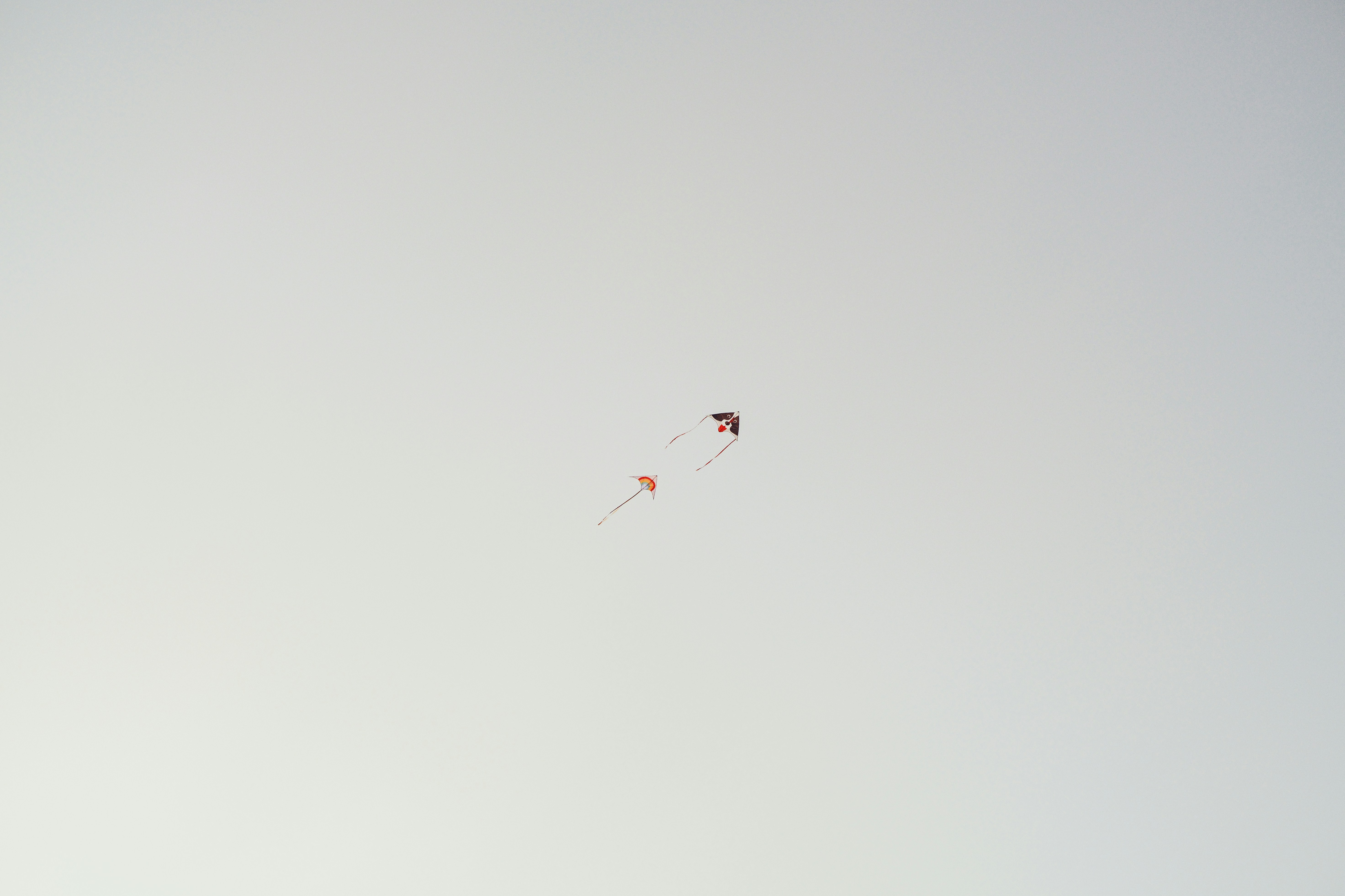 Two kites flying in a pale sky