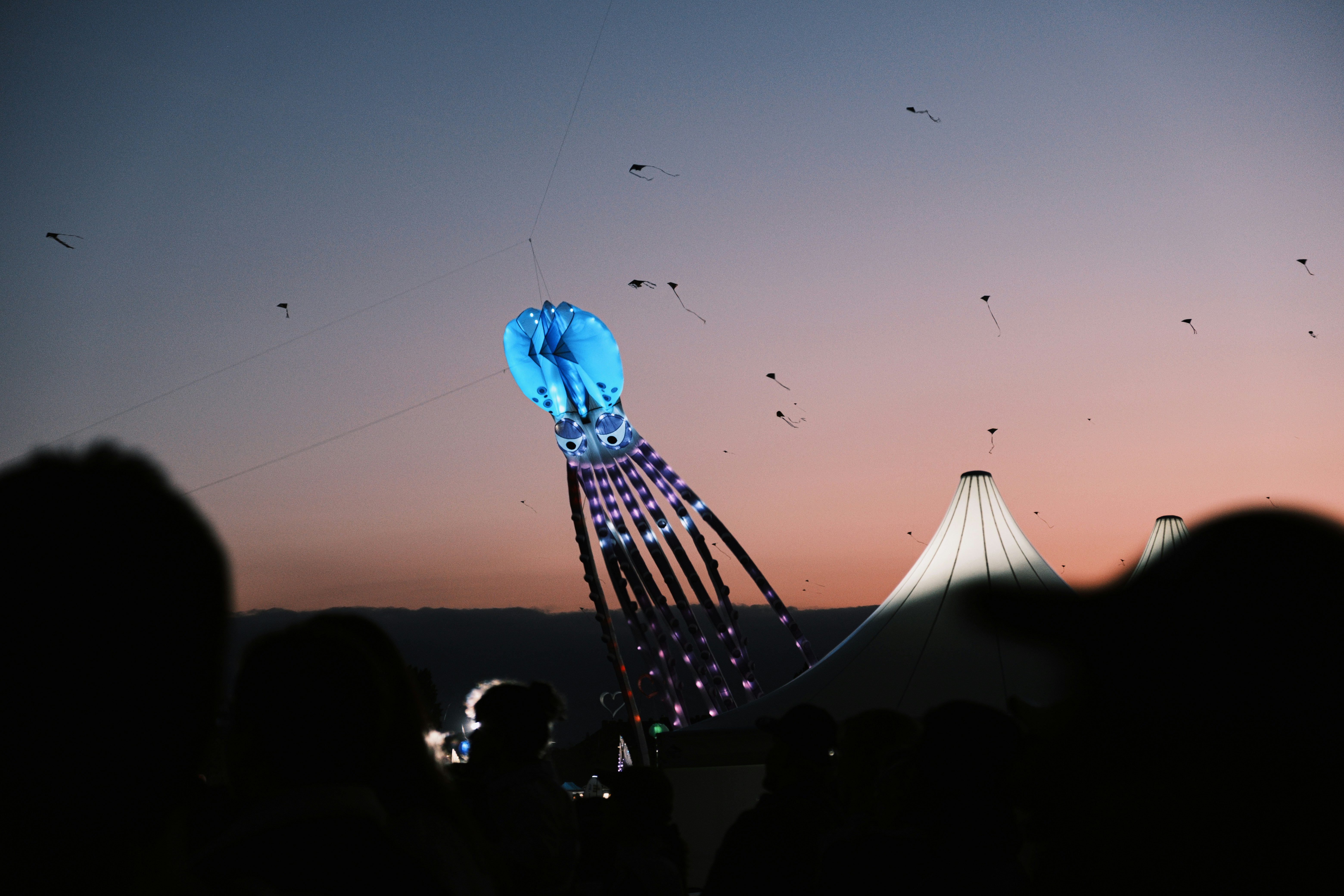 Giant glowing octopus kite flies at dusk festival
