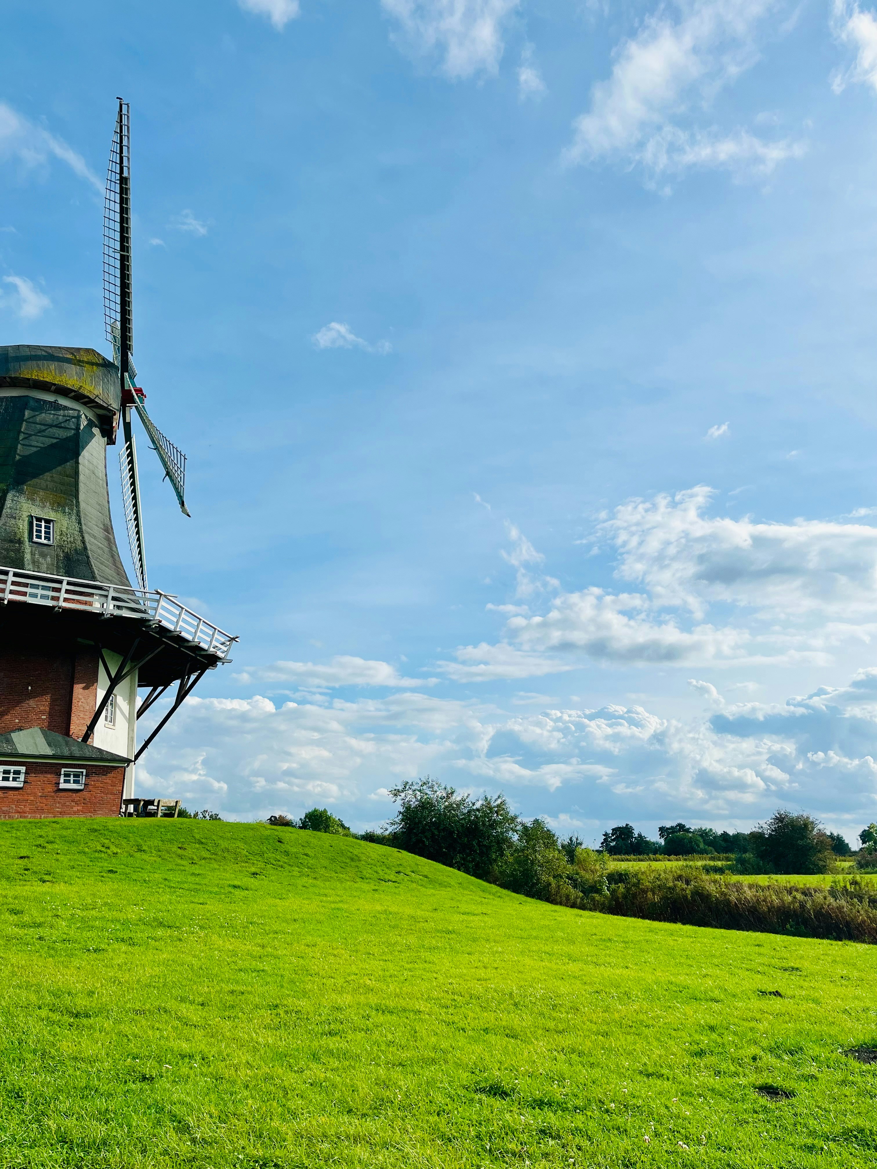 Whispers of the Windmill: A Glimpse into Dutch HeritageJustin Lindemann