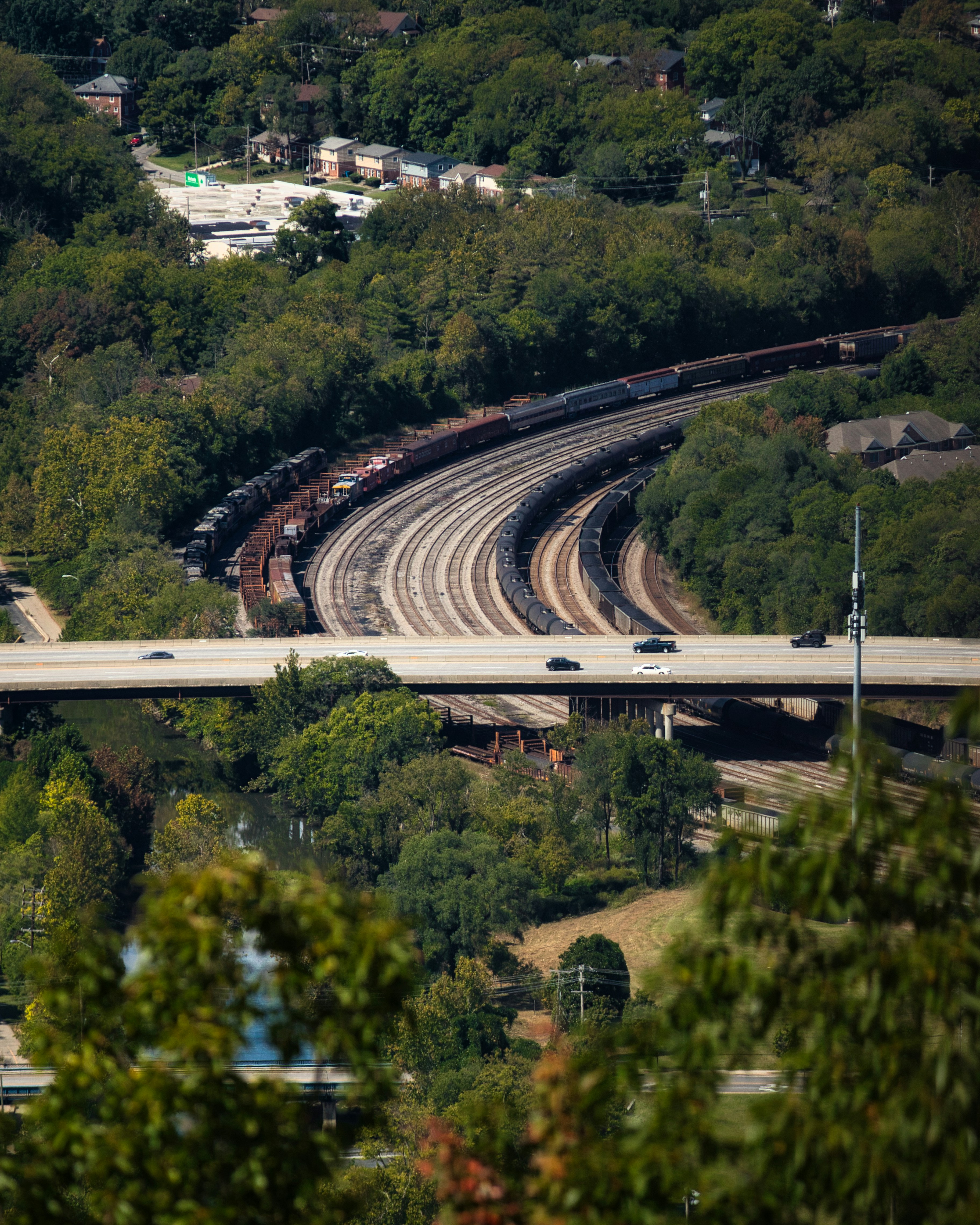 Curves of Transit: A Journey Through Urban Landscapes