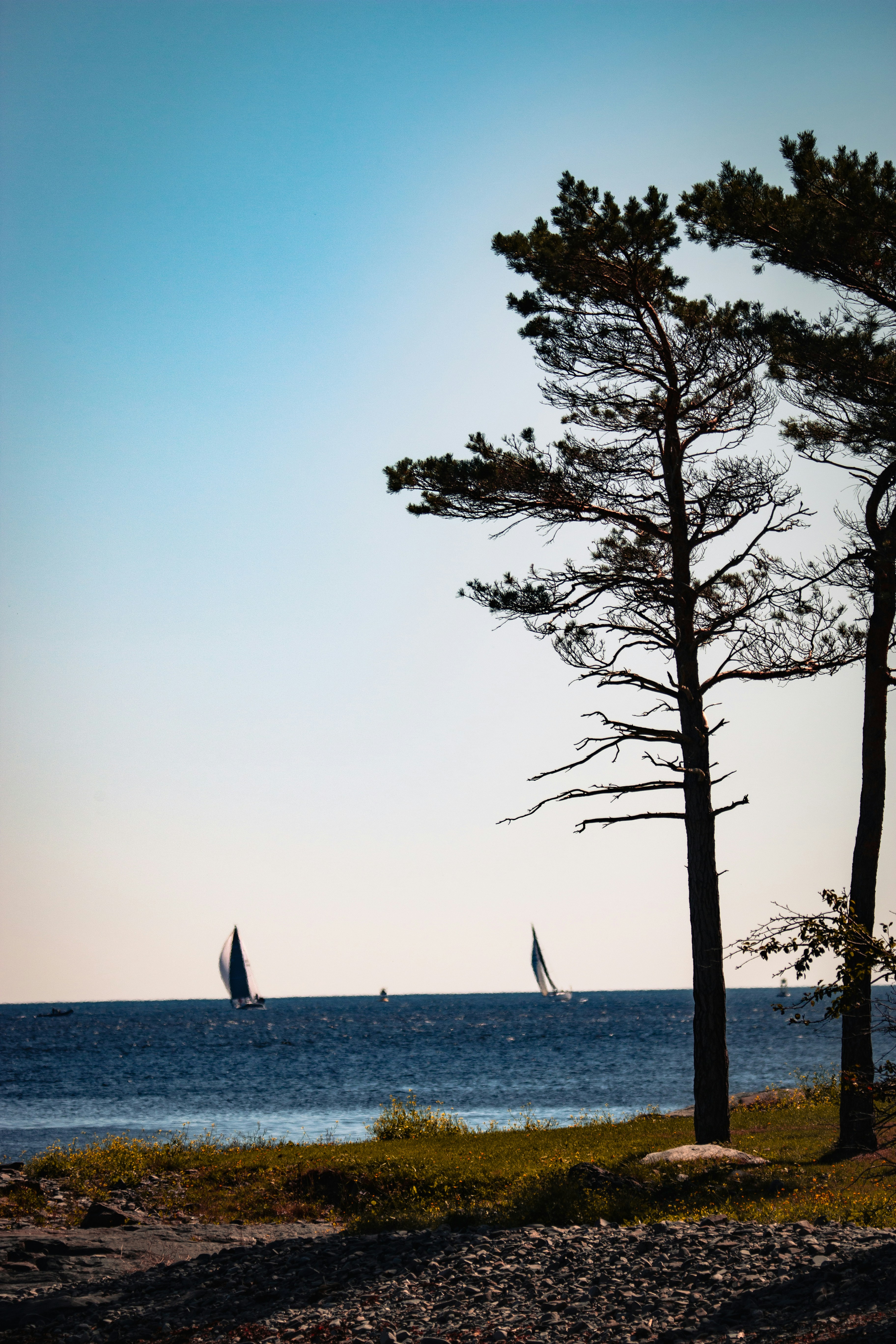 Whispers of the Wind: A Sailor's Escape