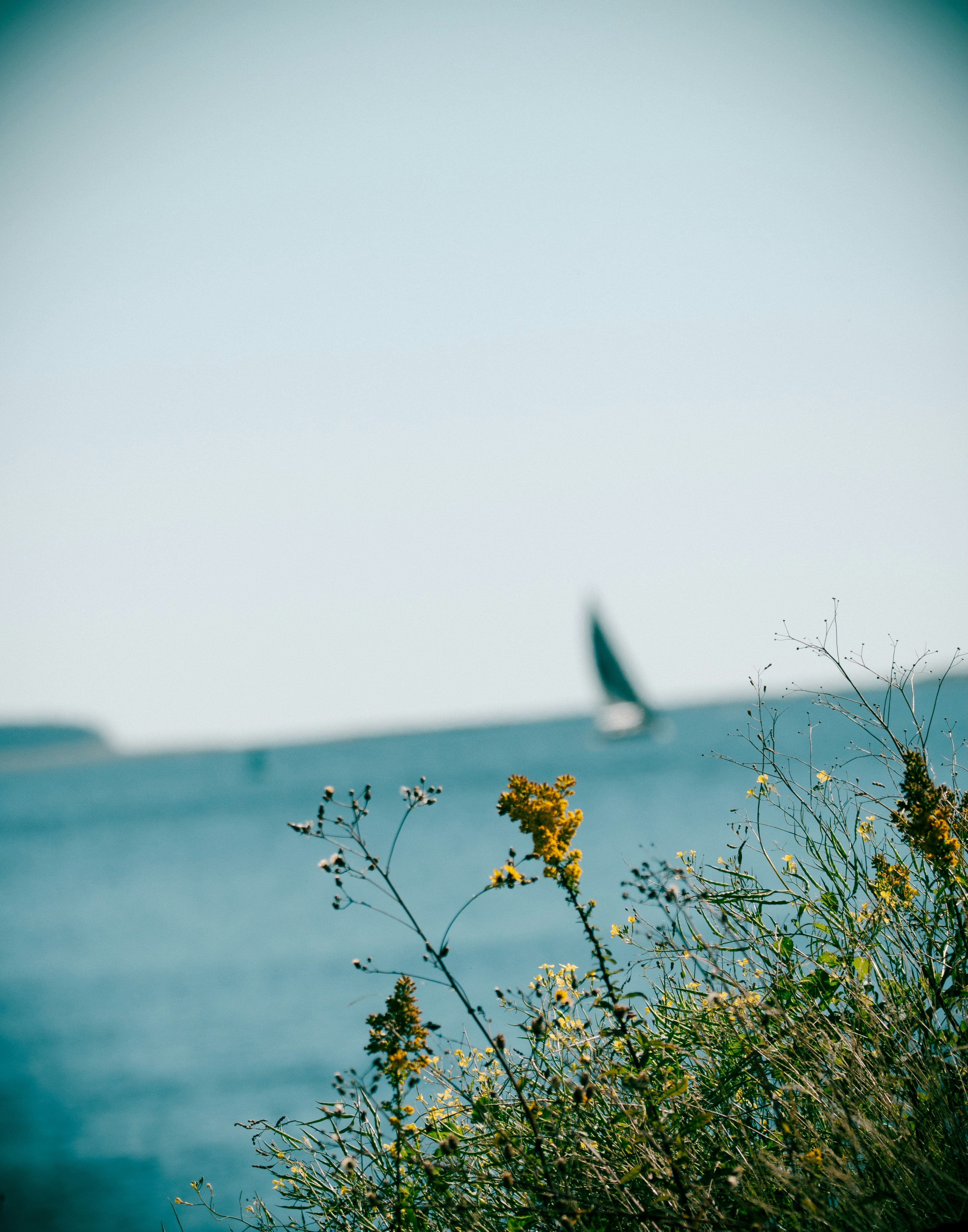 Photo by Dariia Lemesheva with Canon EOS 70D